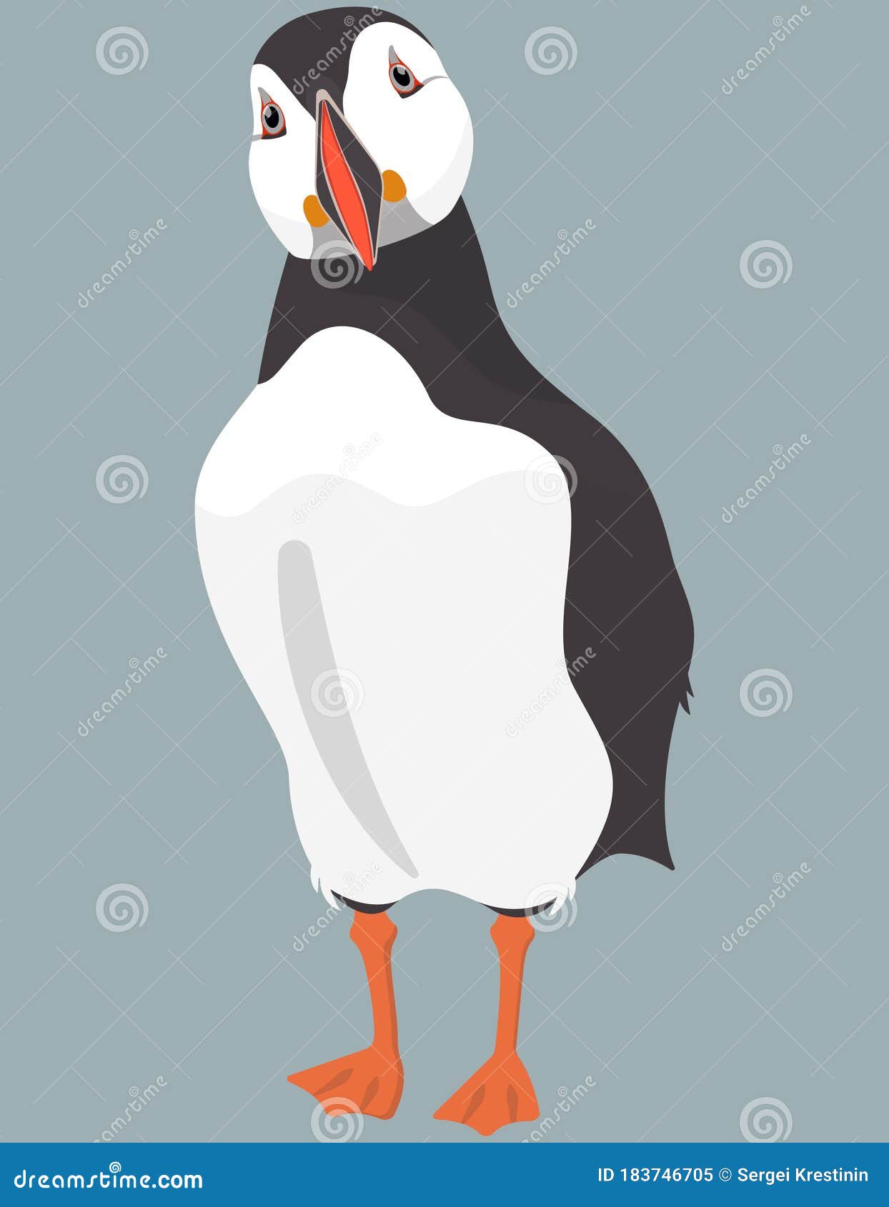 Atlantic Puffin Front View. Stock Vector - Illustration of animal ...