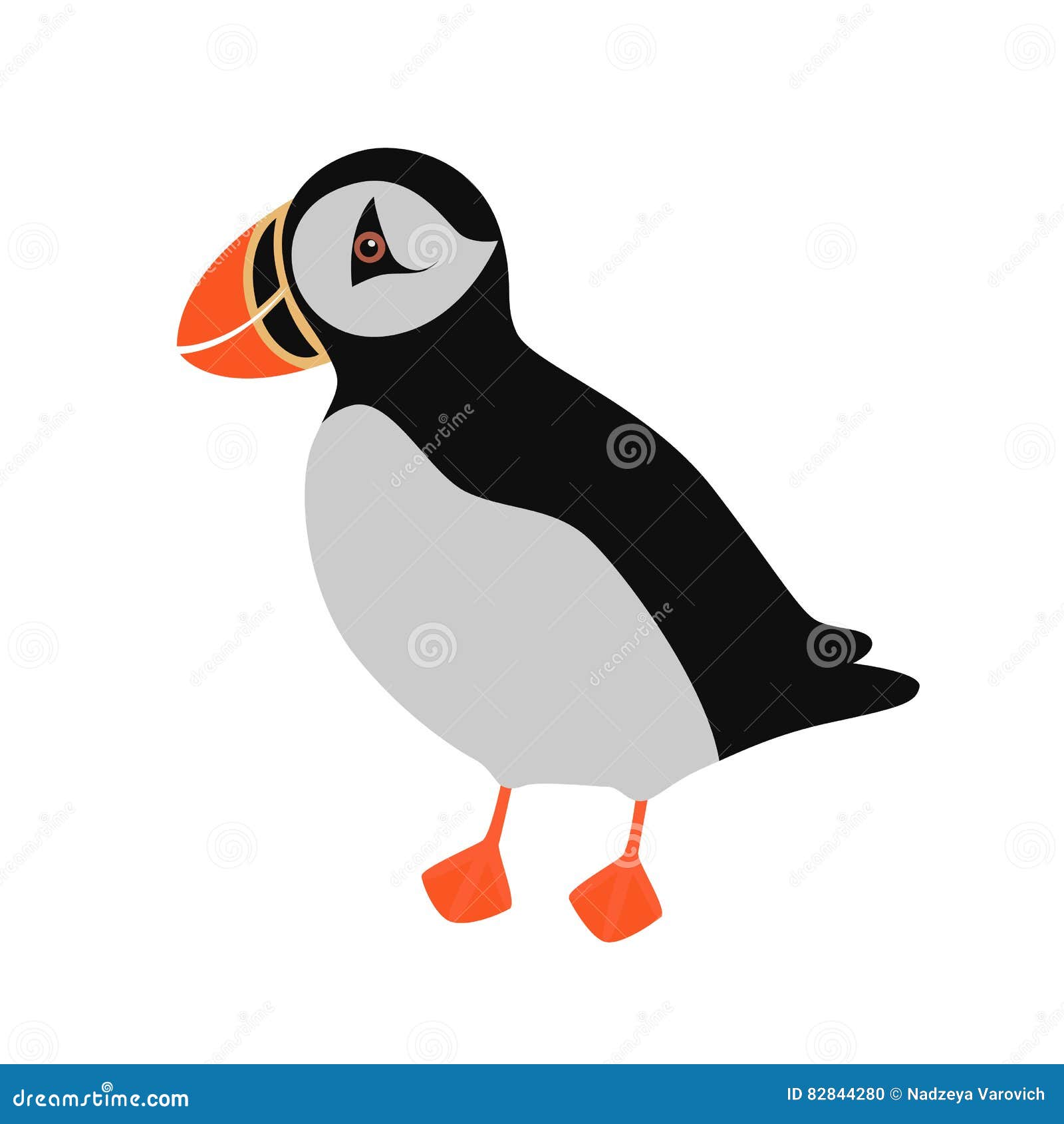 Atlantic Puffin Or Common Puffin Illustration, Drawing, Engraving, Ink ...