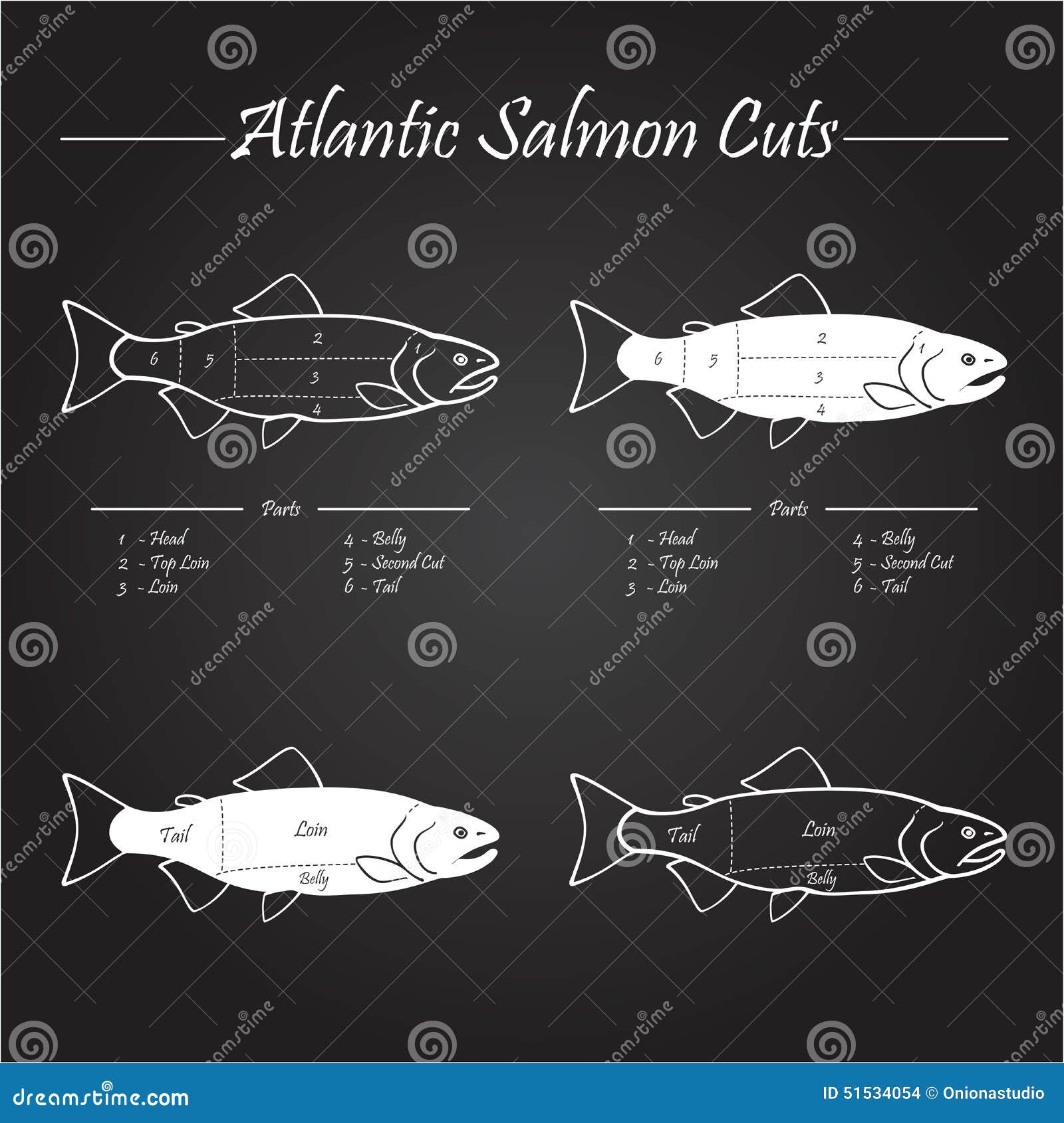 Atlantic Salmon Cuts Diagram Stock Vector - Illustration of food ...