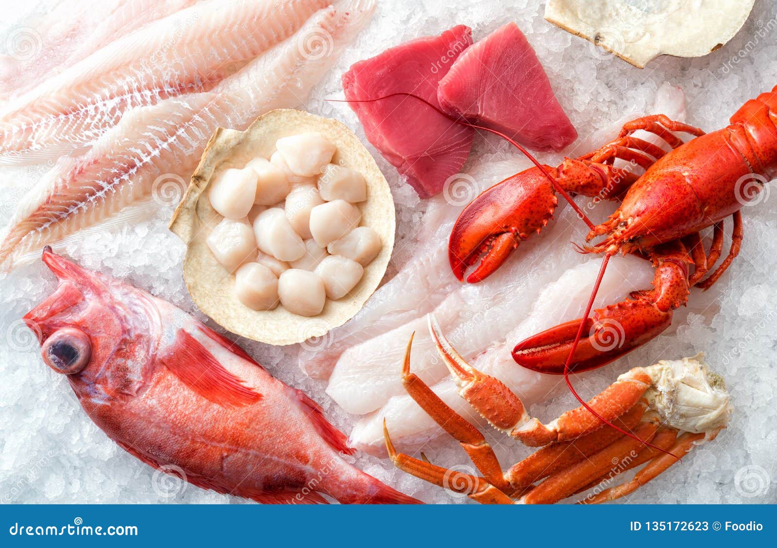 Atlantic Seafood on Ice stock image. Image of shell - 135172623