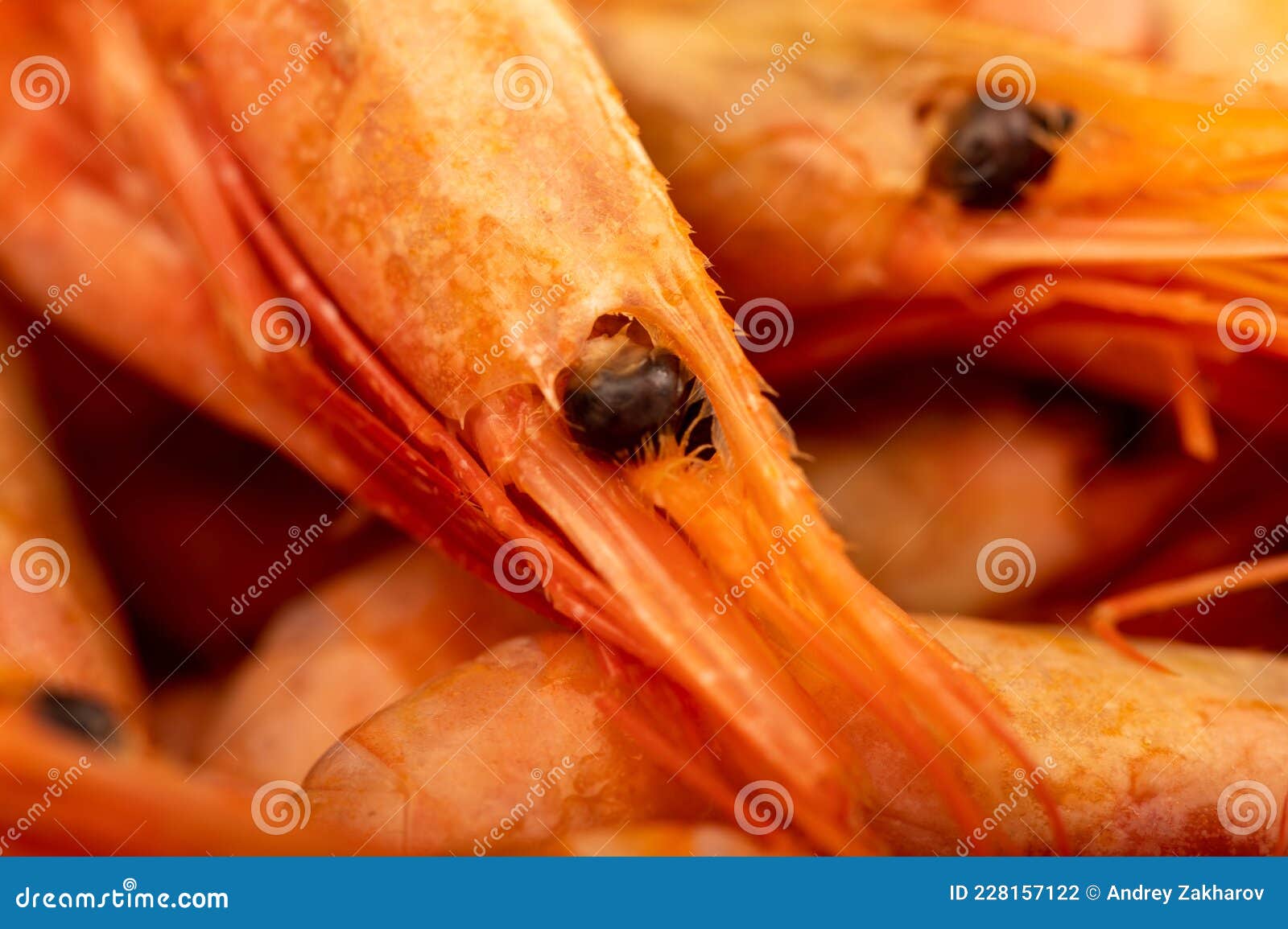 Atlantic Shrimp Cooked with Allspice and Bay Leaf Close-up, Surface ...