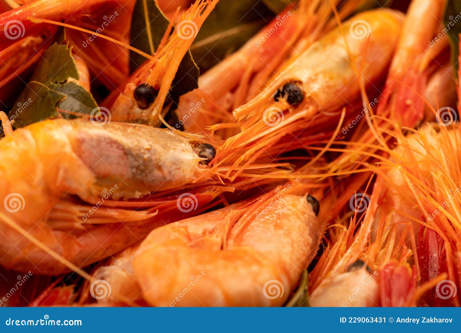 Atlantic Shrimp Cooked with Allspice and Bay Leaf Close-up, Surface ...