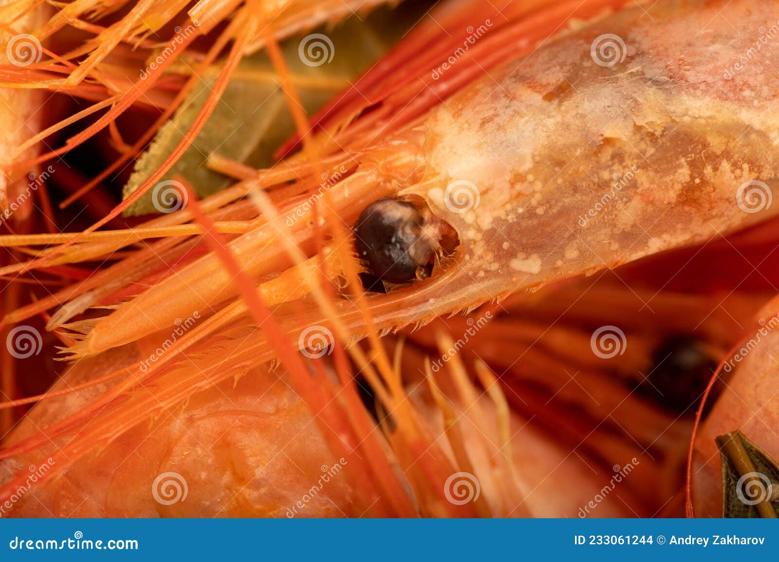 Atlantic Shrimp Cooked with Allspice and Bay Leaf Close-up, Surface ...