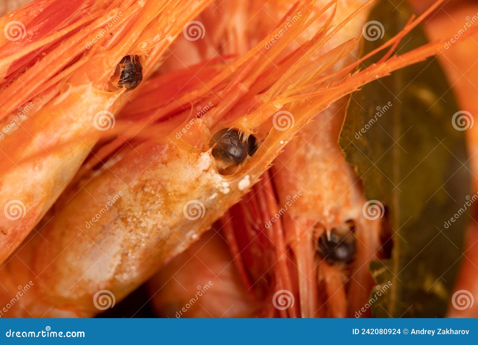 Atlantic Shrimp Cooked with Allspice and Bay Leaf Close-up, Surface ...