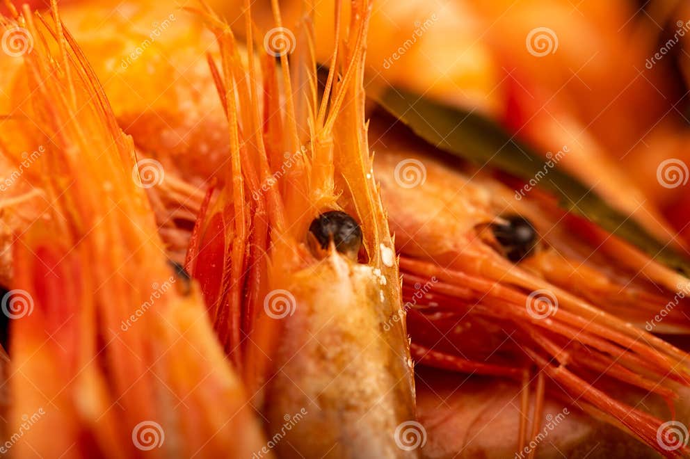 Atlantic Shrimp Cooked with Allspice and Bay Leaf Close-up, Surface ...