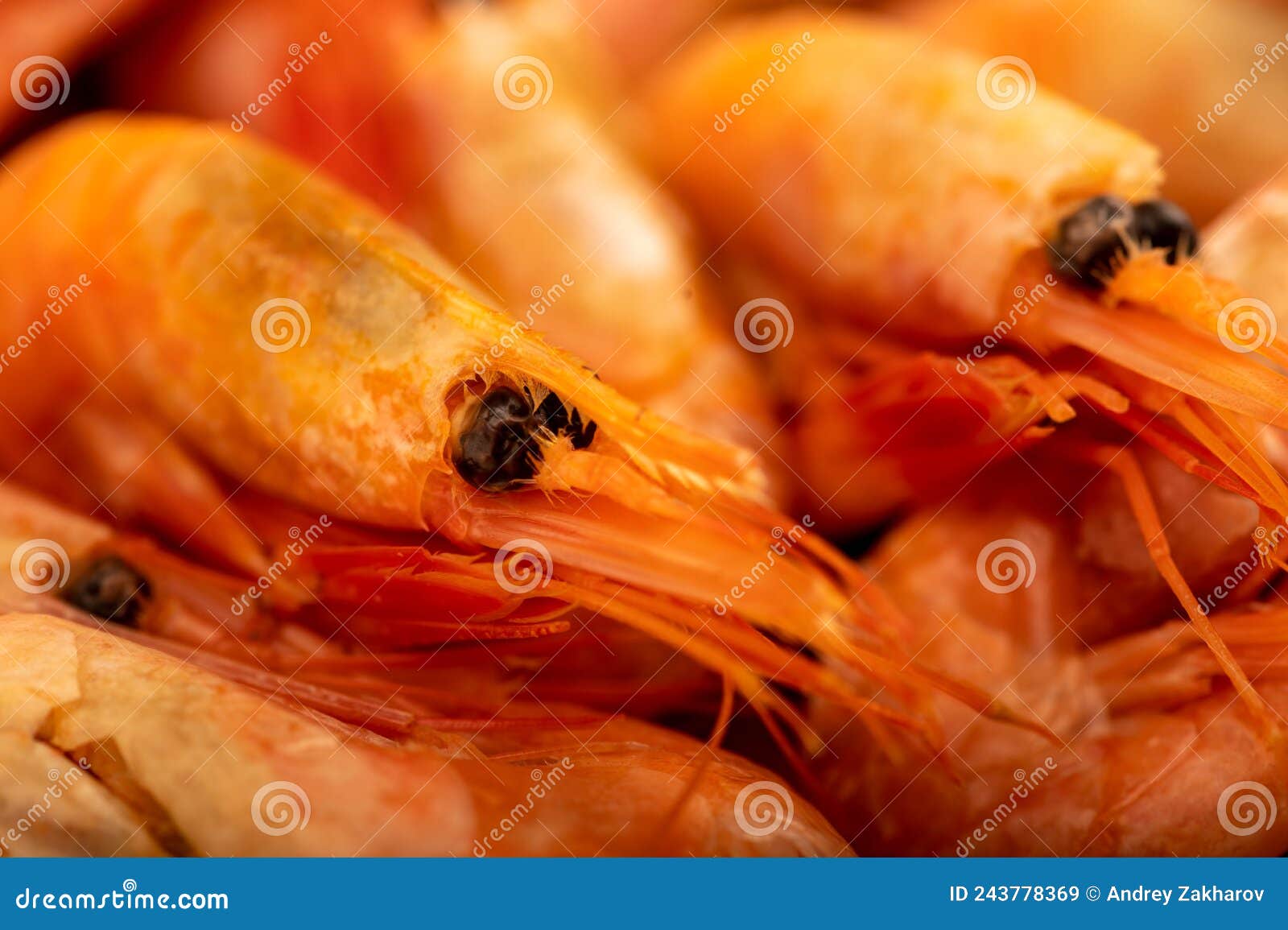 Atlantic Shrimp Cooked with Allspice and Bay Leaf Close-up, Surface ...