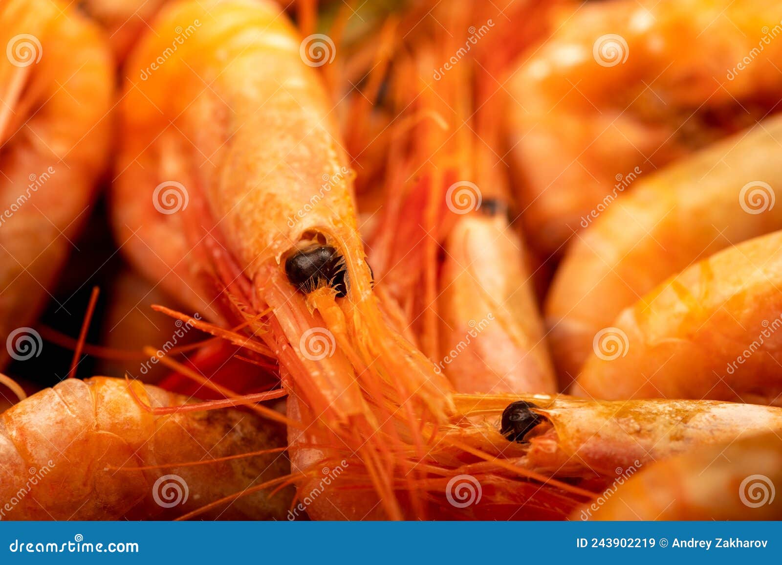 Atlantic Shrimp Cooked with Allspice and Bay Leaf Close-up, Surface ...
