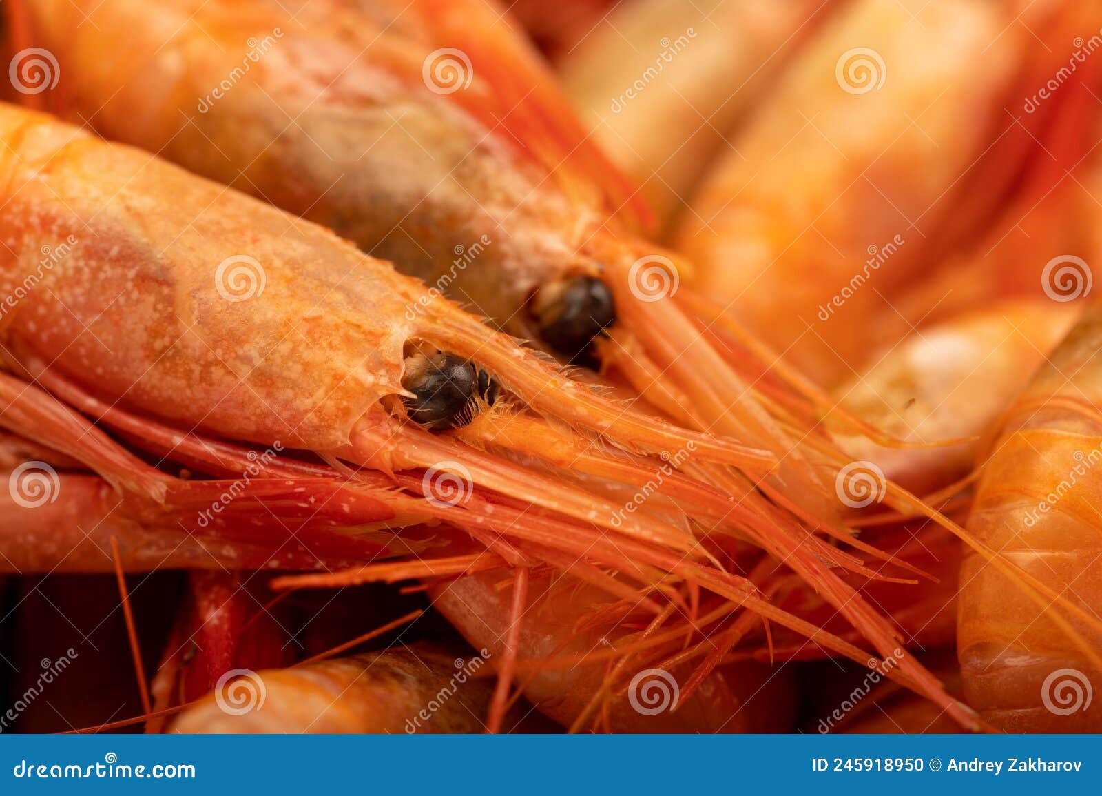 Atlantic Shrimp Cooked with Allspice and Bay Leaf Close-up, Surface ...