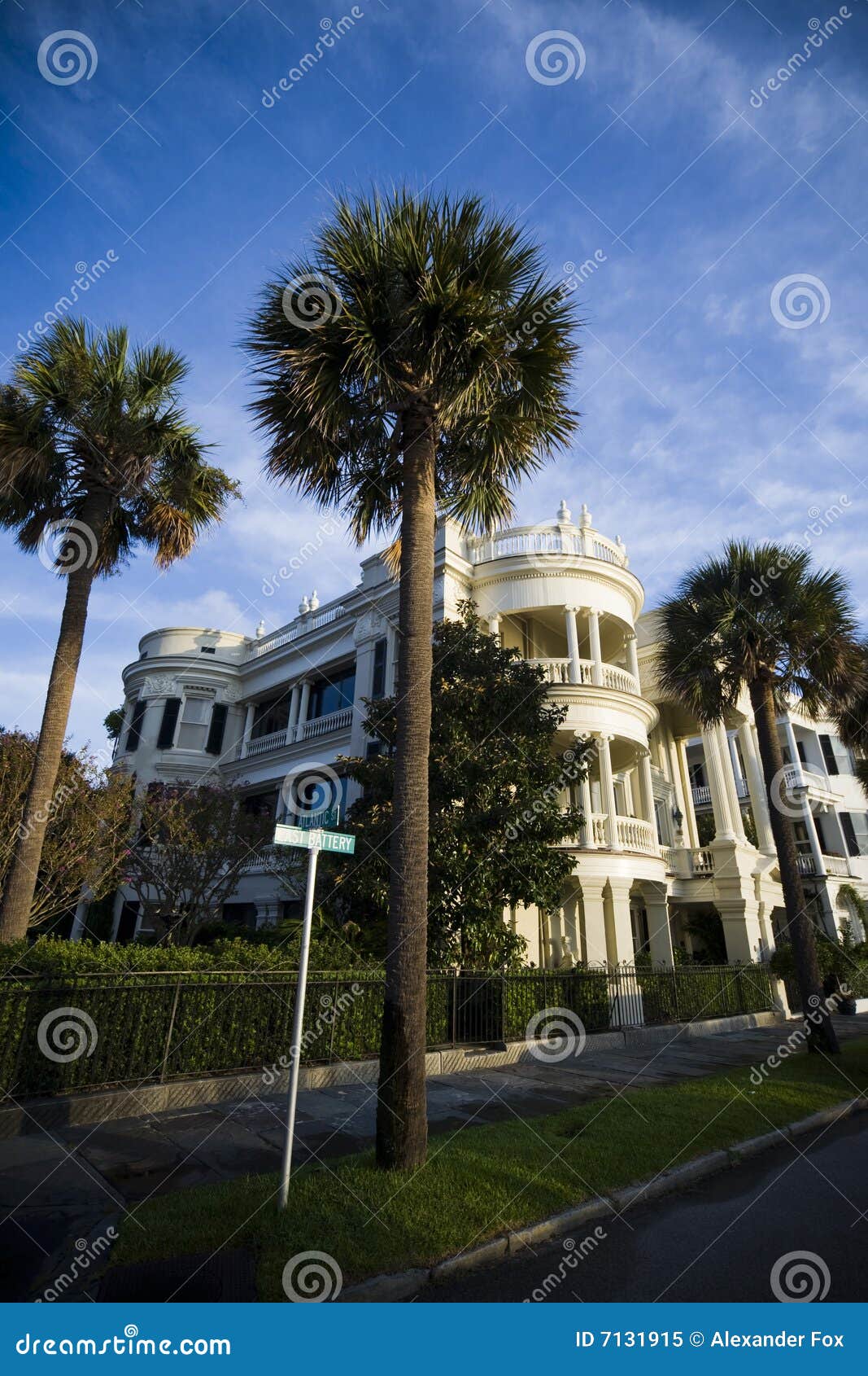 Atlantic Street Palm Trees stock image. Image of attraction - 7131915