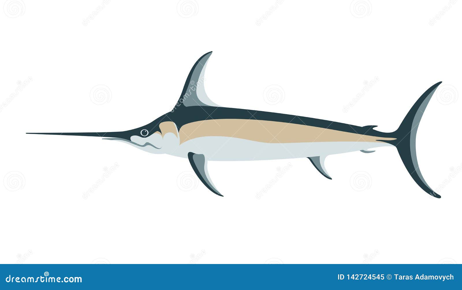 Atlantic Swordfish,vector Illustration ,flat Style Stock Vector ...