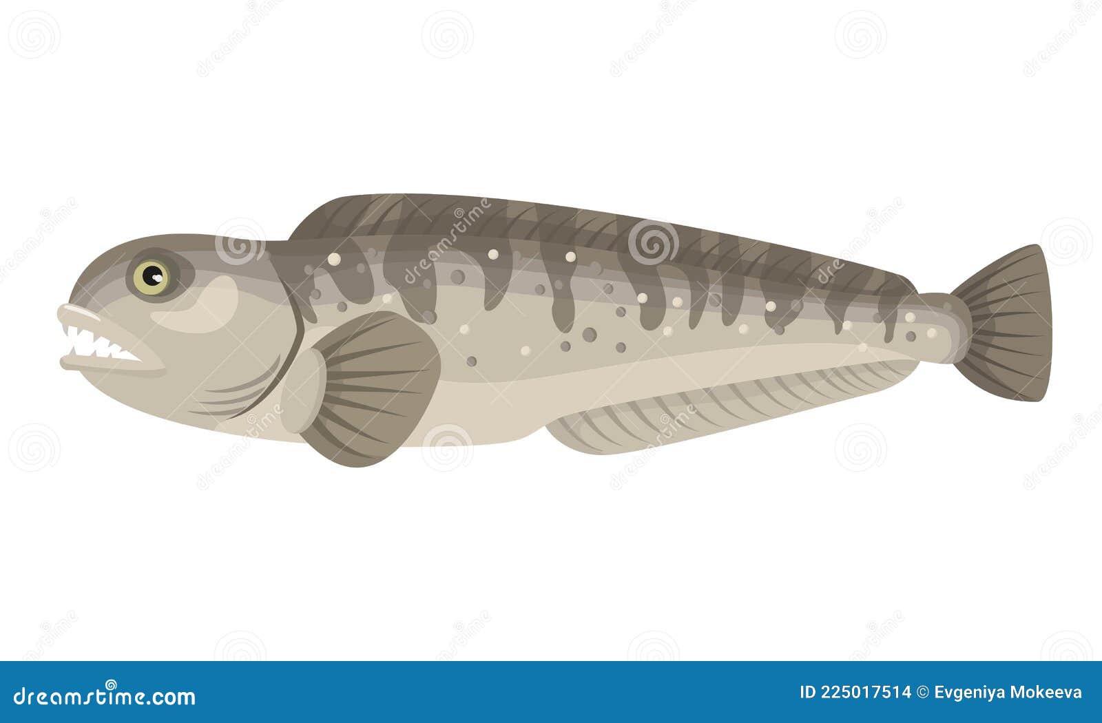 Wolffish Cartoons, Illustrations & Vector Stock Images - 99 Pictures to ...