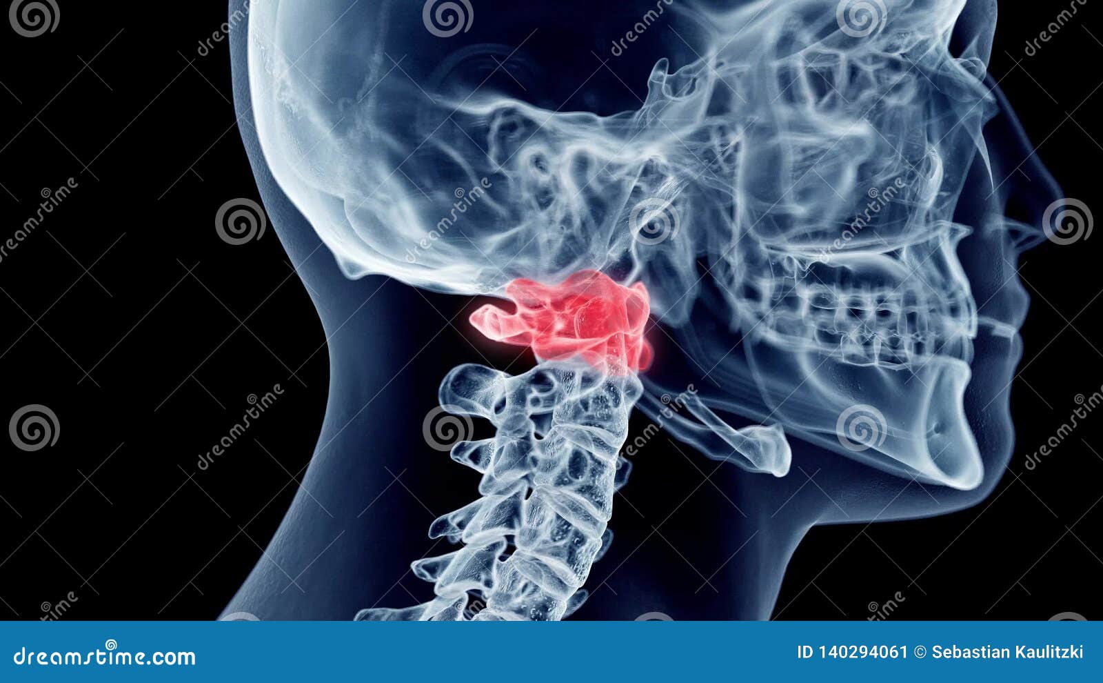 The atlas bone stock video. Video of blue, health, biology - 140294061