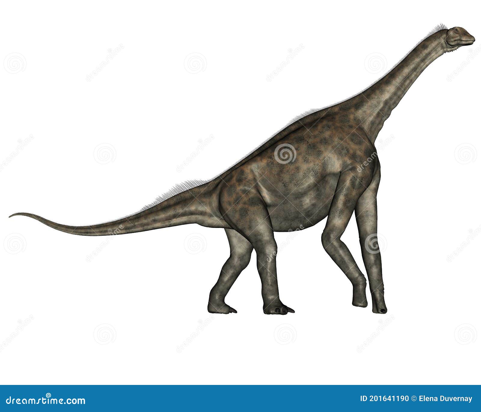 Atlasaurus Dinosaur - 3D Render Stock Illustration - Illustration of ...