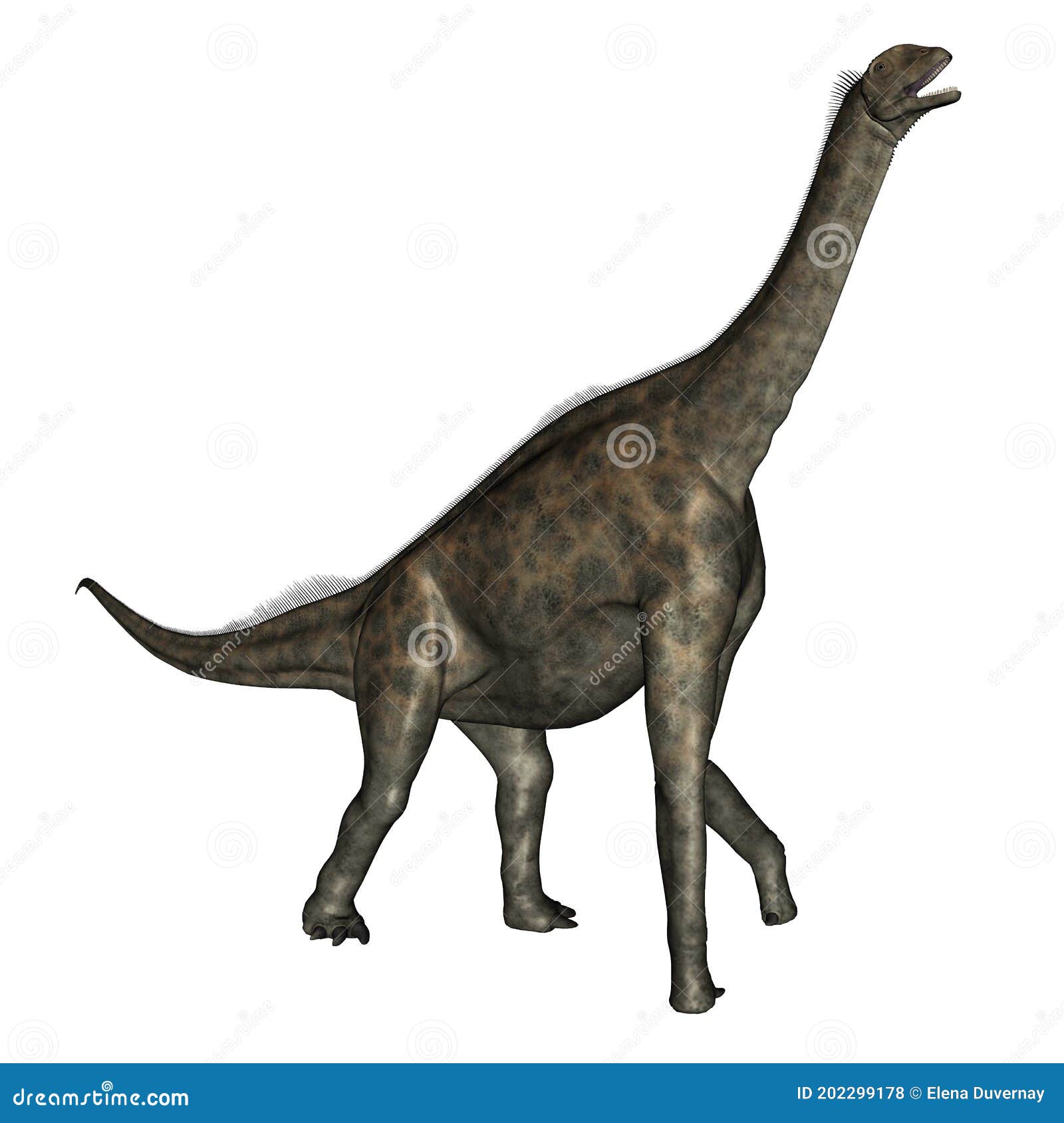 Atlasaurus Dinosaur - 3D Render Stock Illustration - Illustration of ...