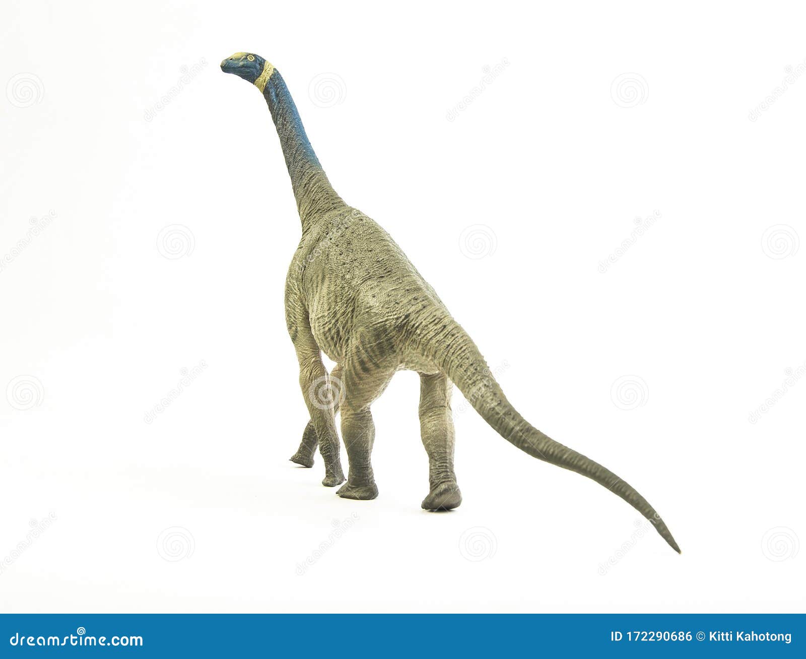 Atlasaurus , Dinosaur on White Background Stock Photo - Image of ...