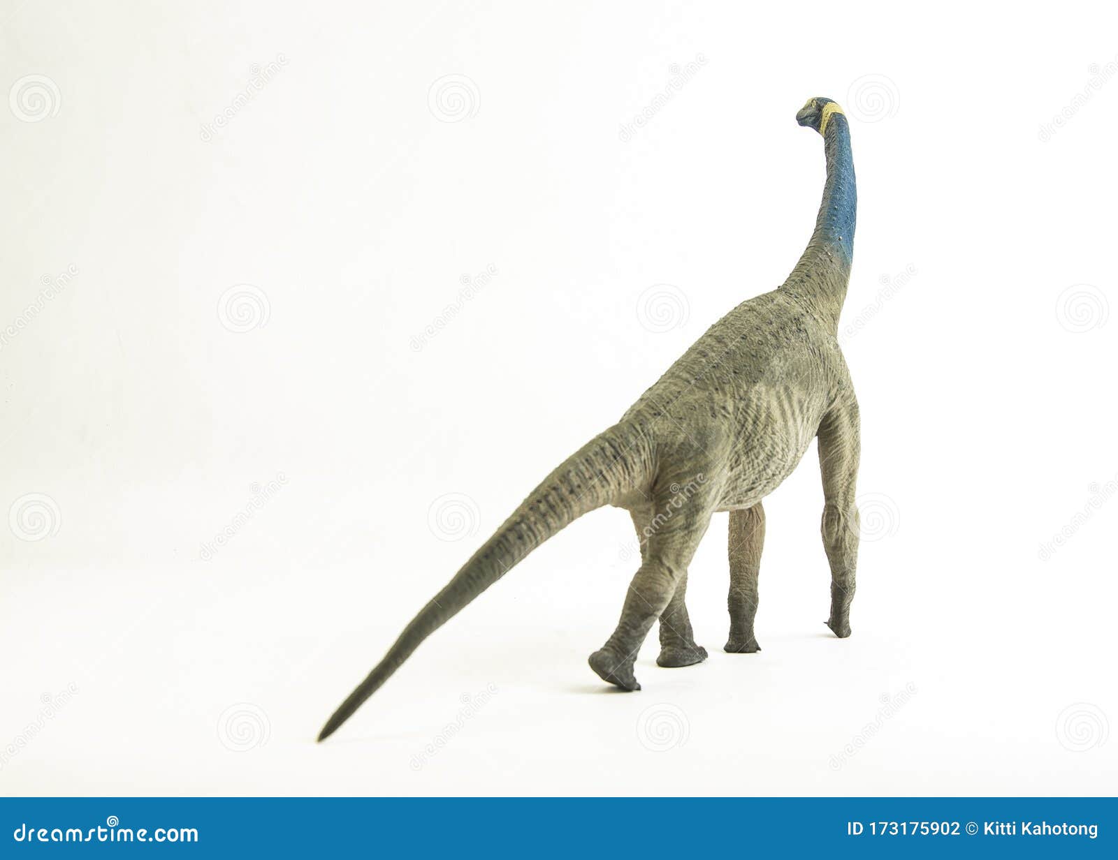 Atlasaurus , Dinosaur on White Background Stock Photo - Image of ...