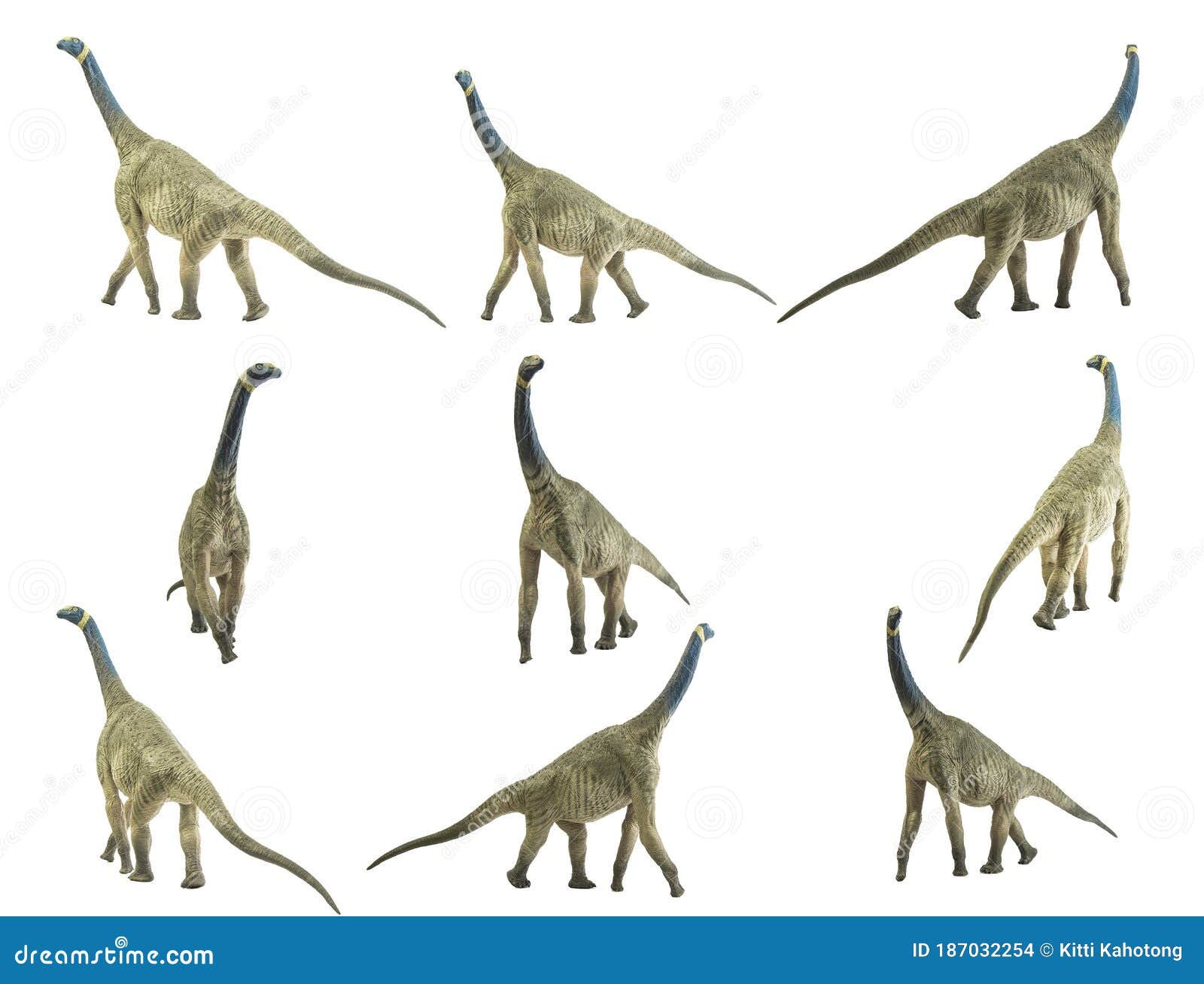 Atlasaurus , Dinosaur on White Background Stock Illustration ...