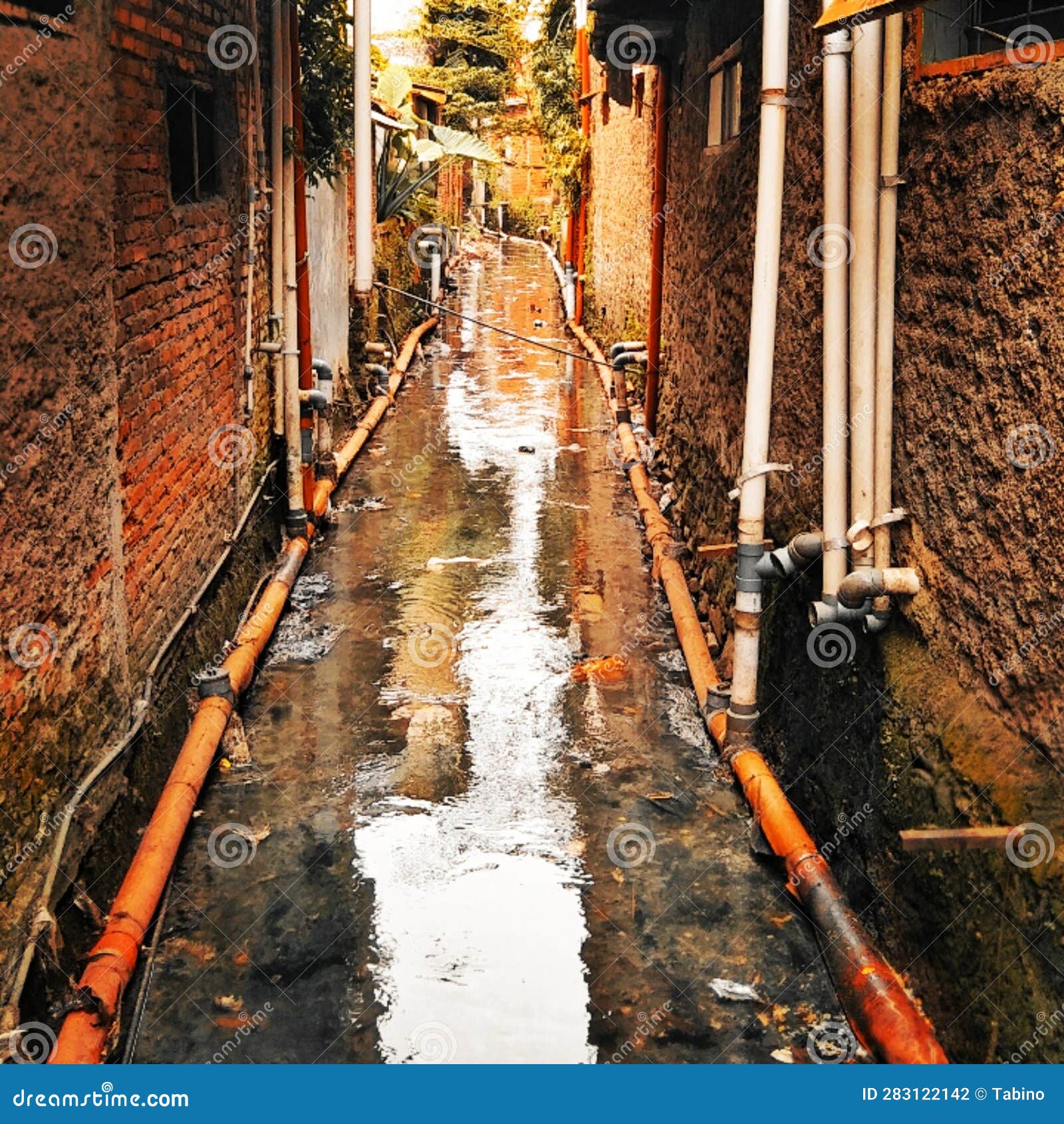 The Atmosphere Began To Tense when Dusk Fell Stock Photo - Image of ...