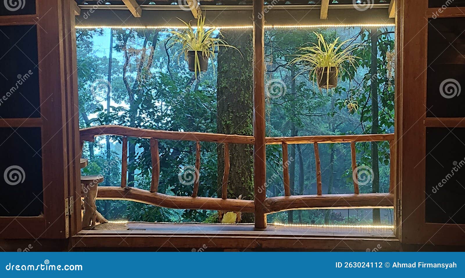 Atmosphere of Dim Night Lights in the Forest Stock Photo - Image of ...