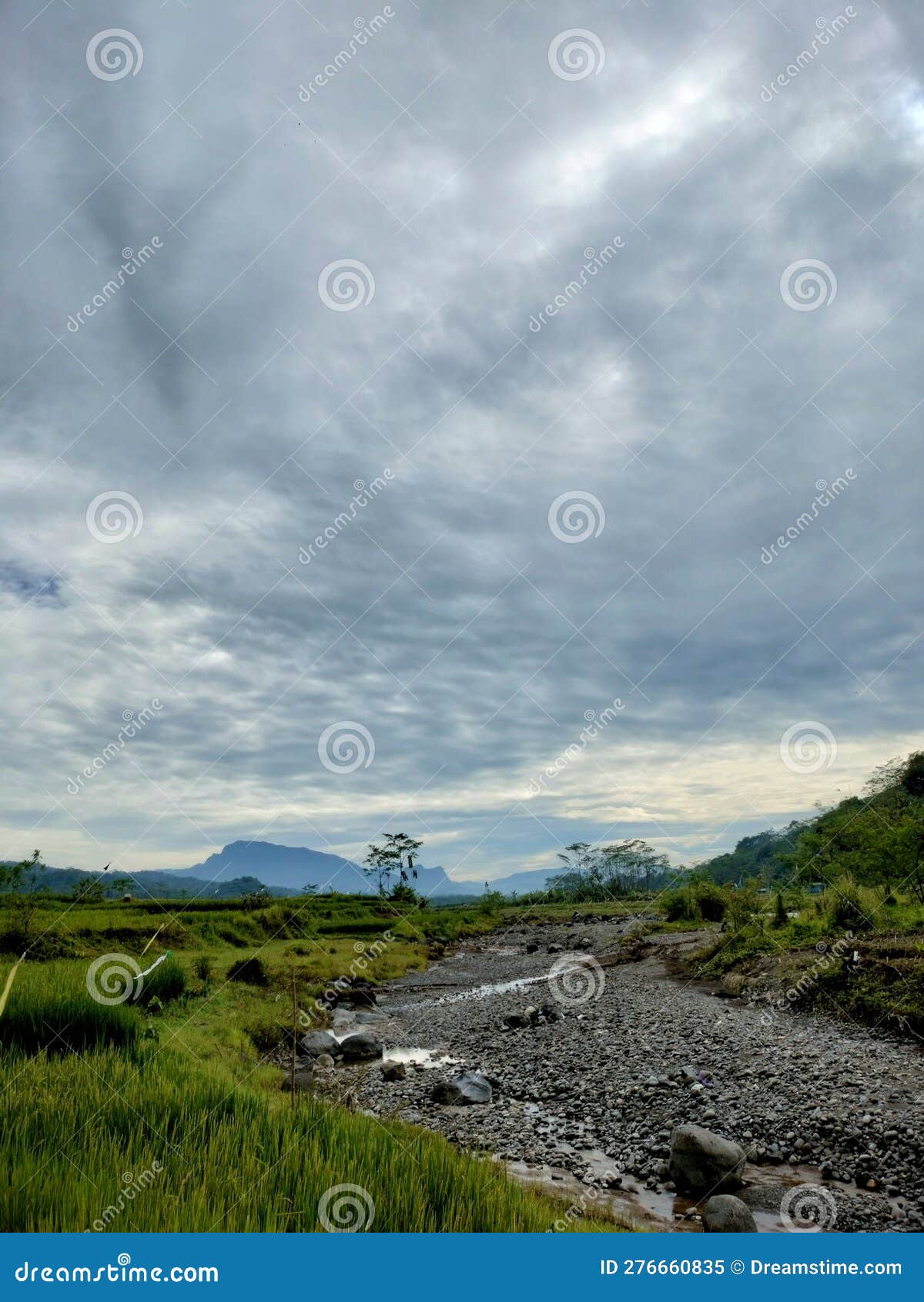 The Atmosphere of a Dry River in a Beautiful Village Stock Image ...