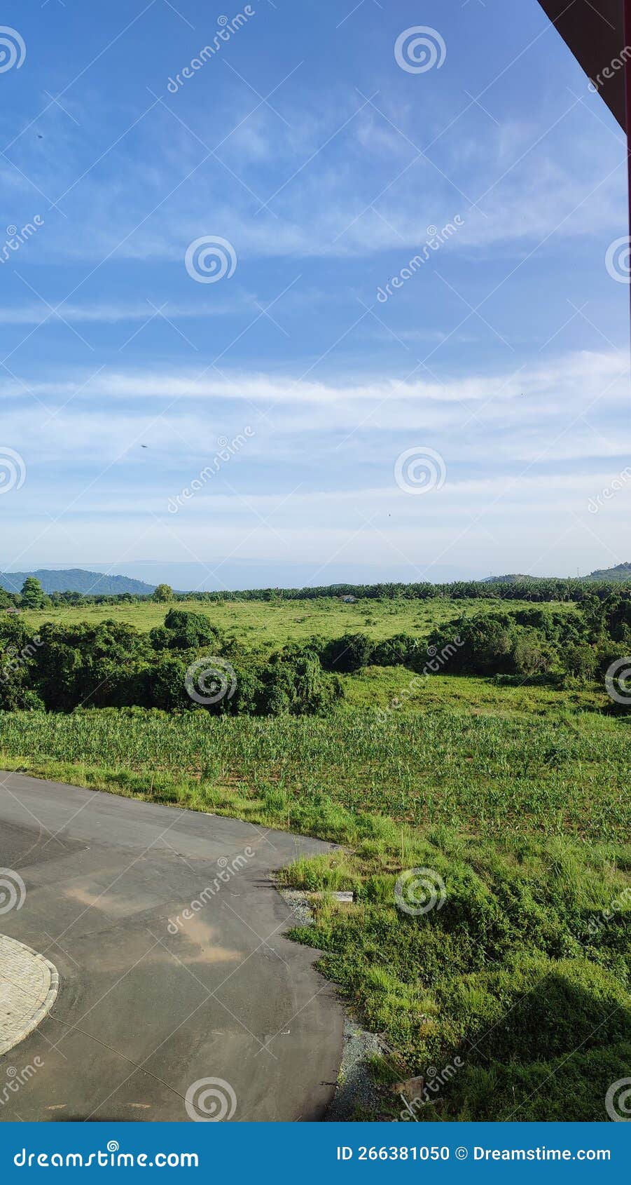 The Atmosphere in the Morning is Beautiful and Green Stock Photo ...
