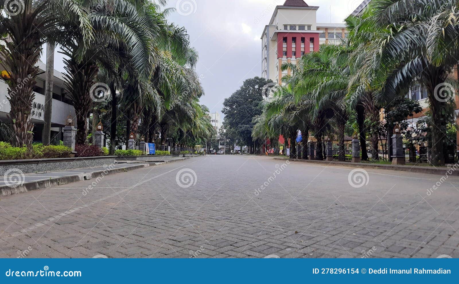 The Atmosphere of the Morning Walk Inside the Malang City Campus Stock ...