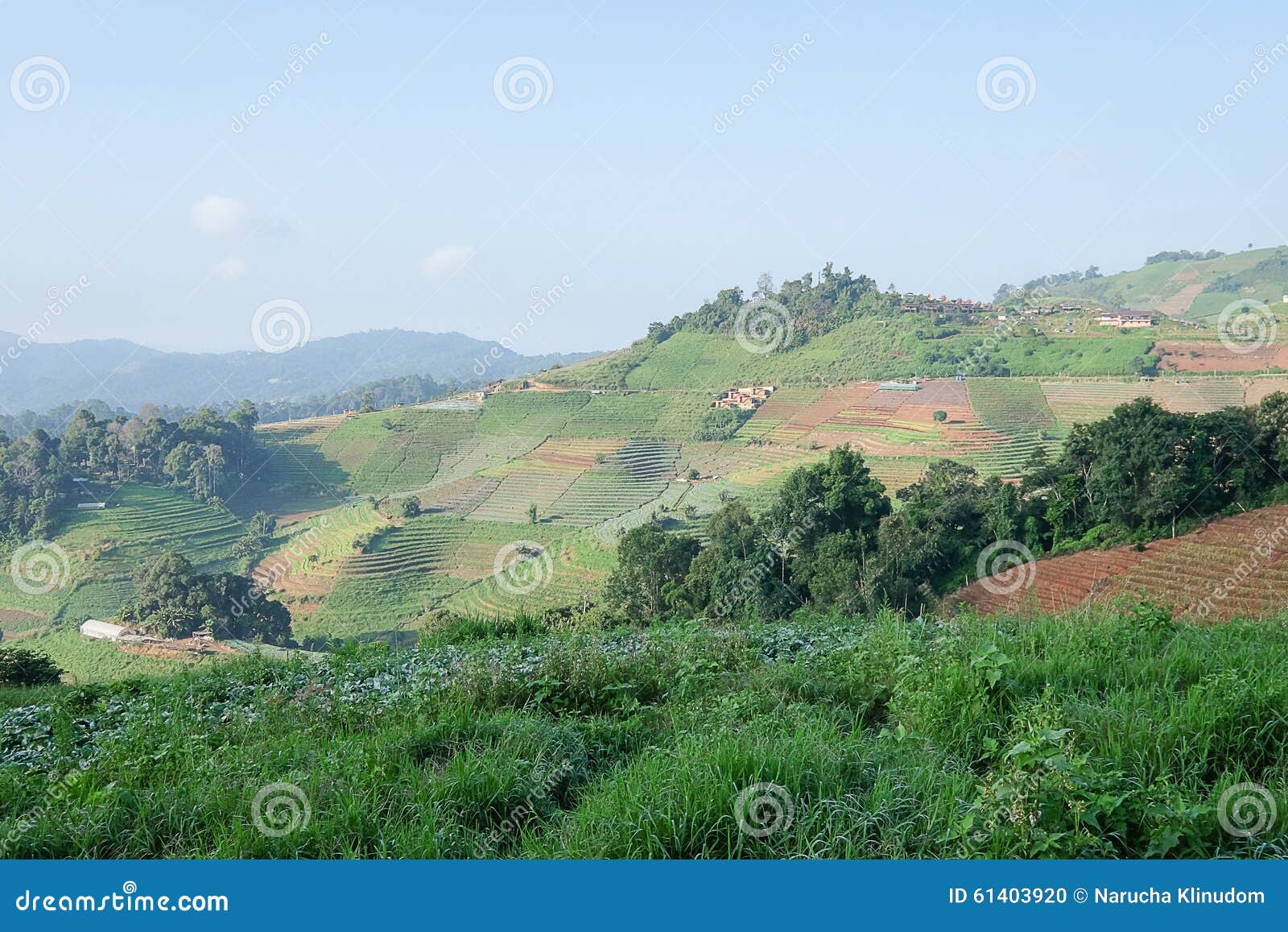 The Atmosphere of Terrace Cropping Stock Photo - Image of north, asia ...