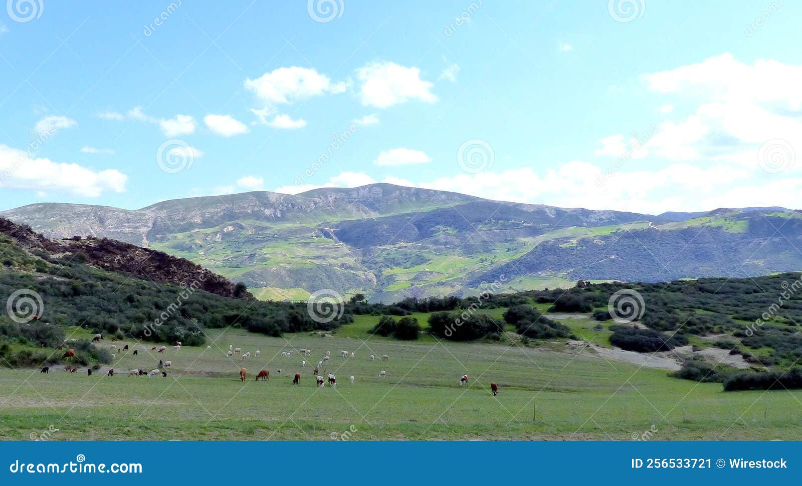 Atmospheric Nature: Beautiful View of the Opposite Mountain Stock Image ...