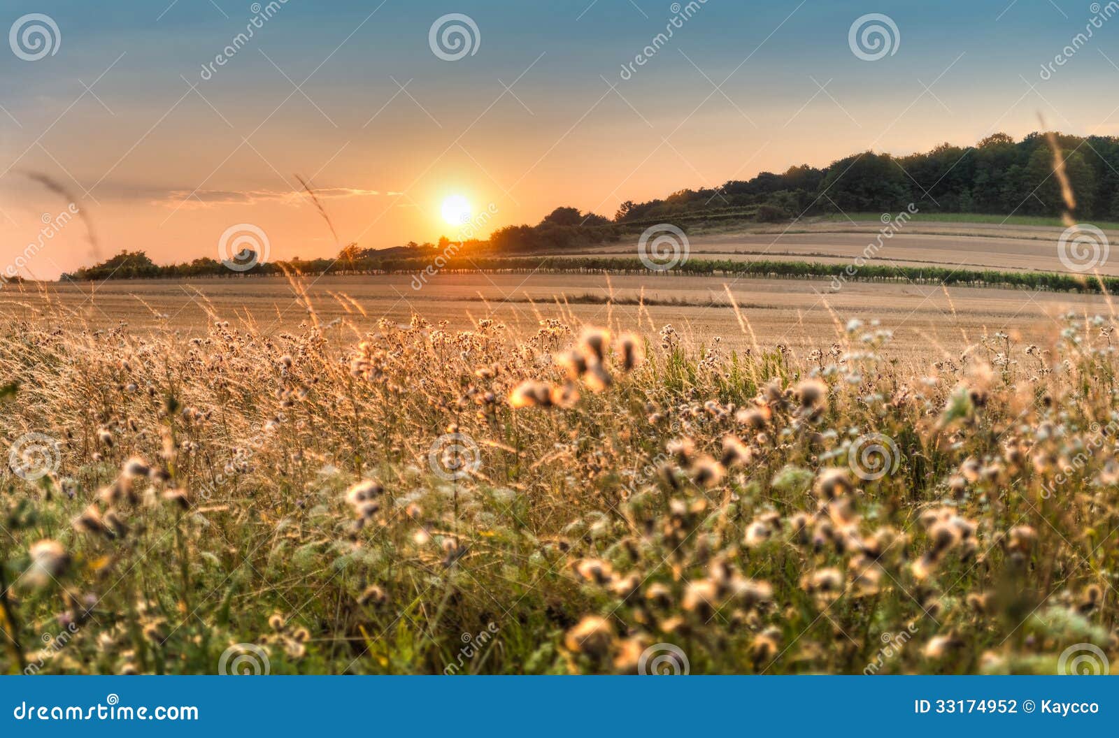 Atmospheric Sunset Over the Field Stock Photo - Image of orange, season ...