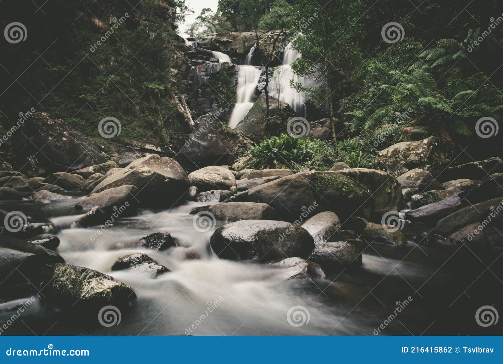 Atmospheric Waterfall in a Rainforest. Stock Photo - Image of ...