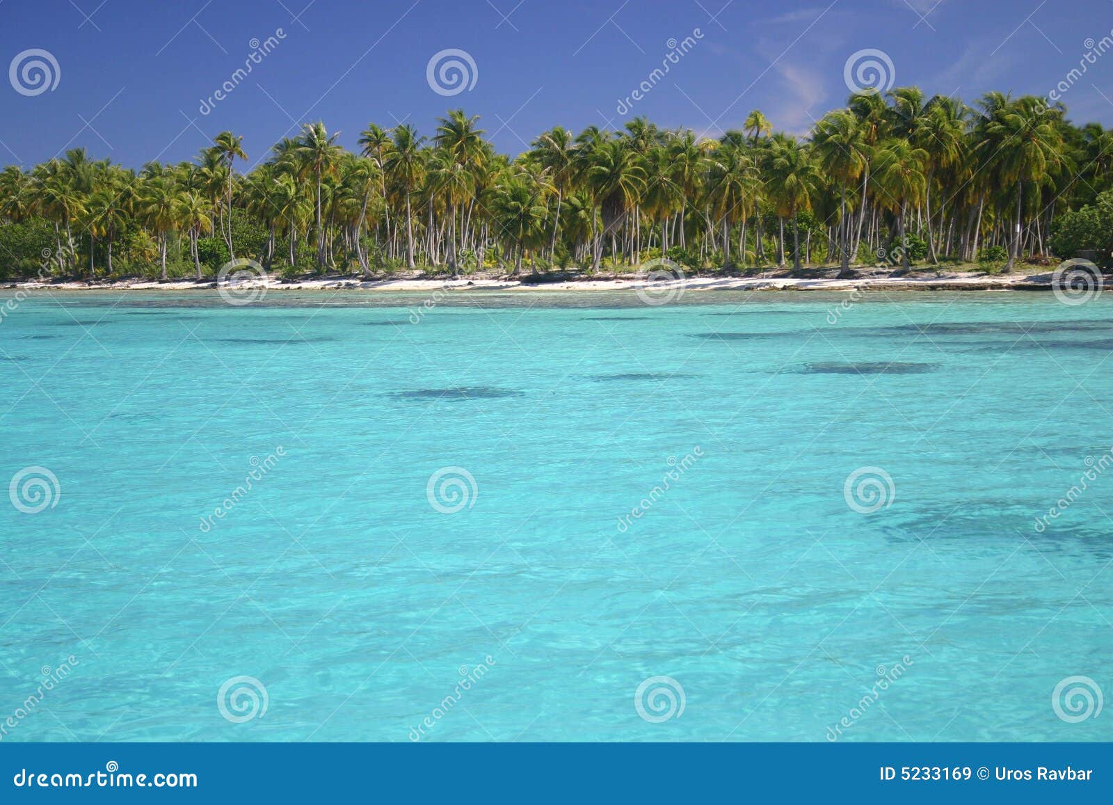 Atoll Rangiroa in French Polynesia Stock Image - Image of lagoon ...