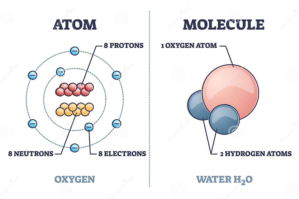 Atom Vs Molecule Structural Differences with Oxygen and Water Outline ...