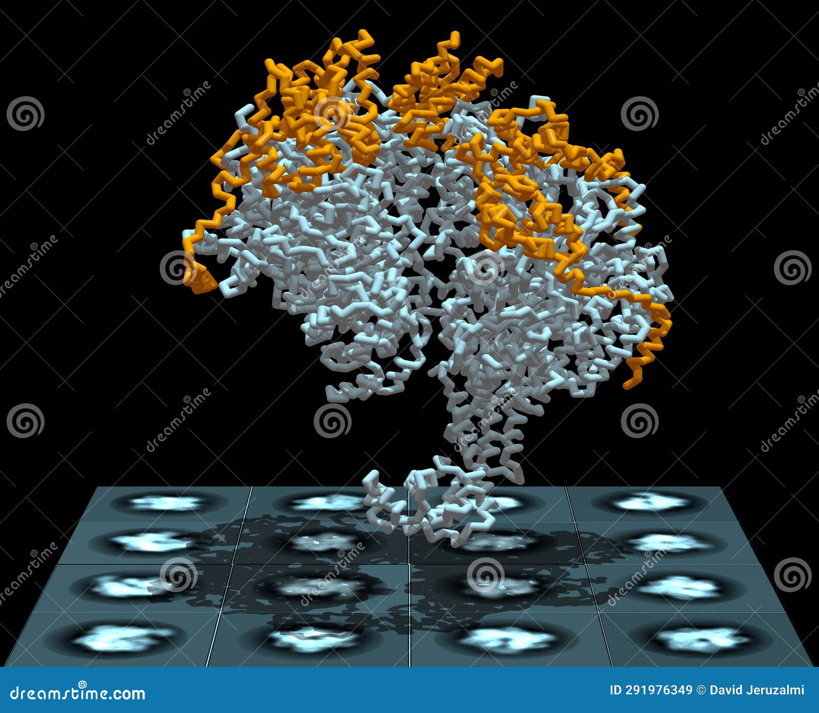 Atomic Structure of Two Protein Molecules by Cryogenic Electron ...