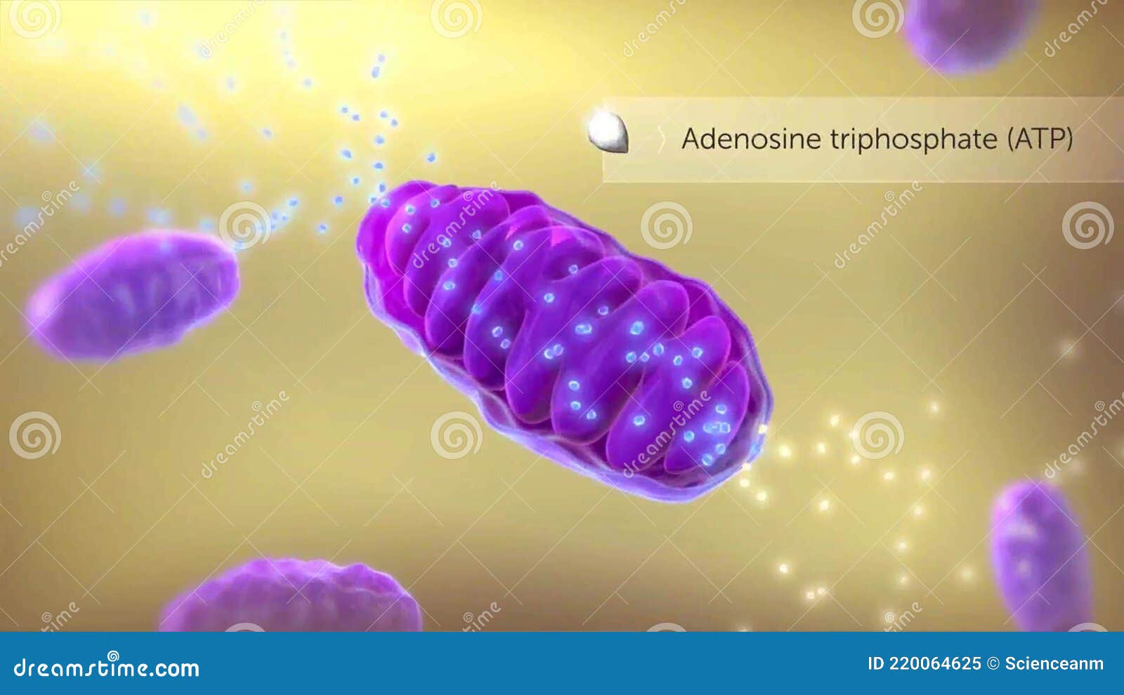 ATP synthase illustration stock illustration. Illustration of matrix ...