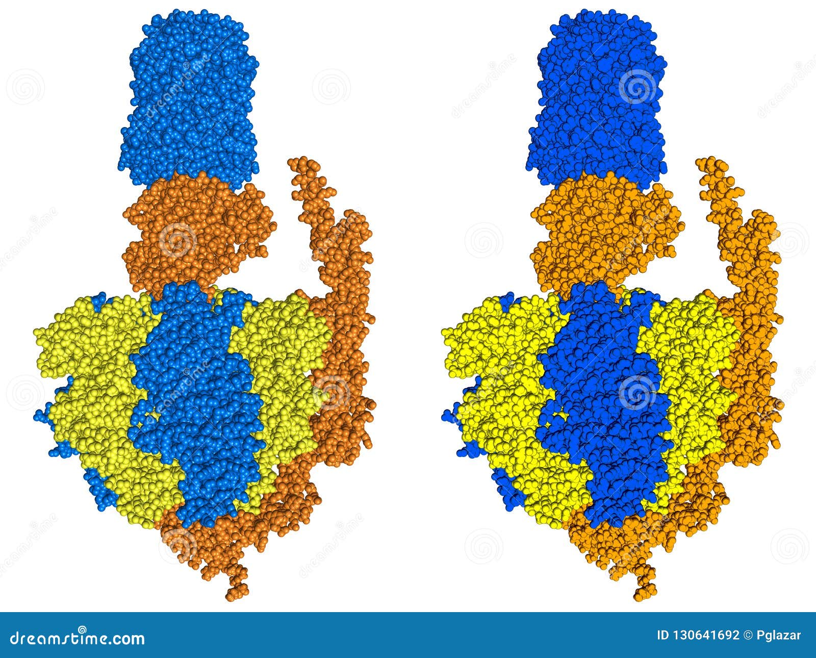 ATP synthase molecule stock illustration. Illustration of isolated ...