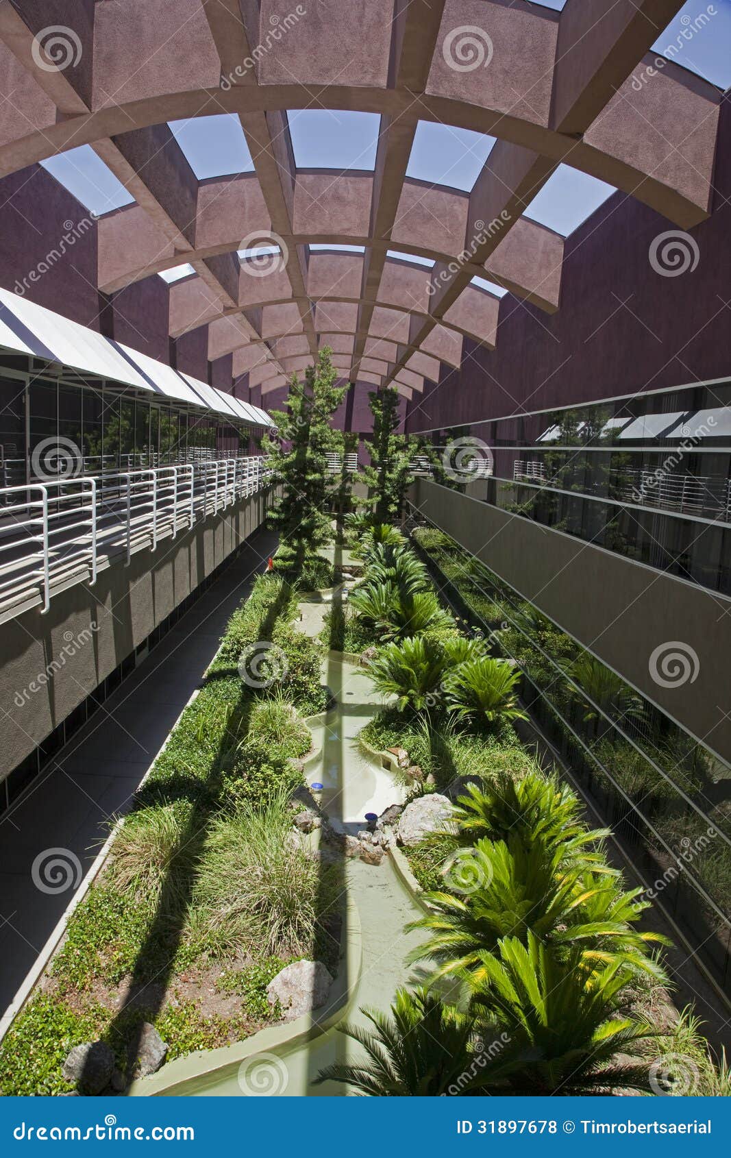 Atrio foto de archivo. Imagen de crecimiento, atrio, cubo - 31897678