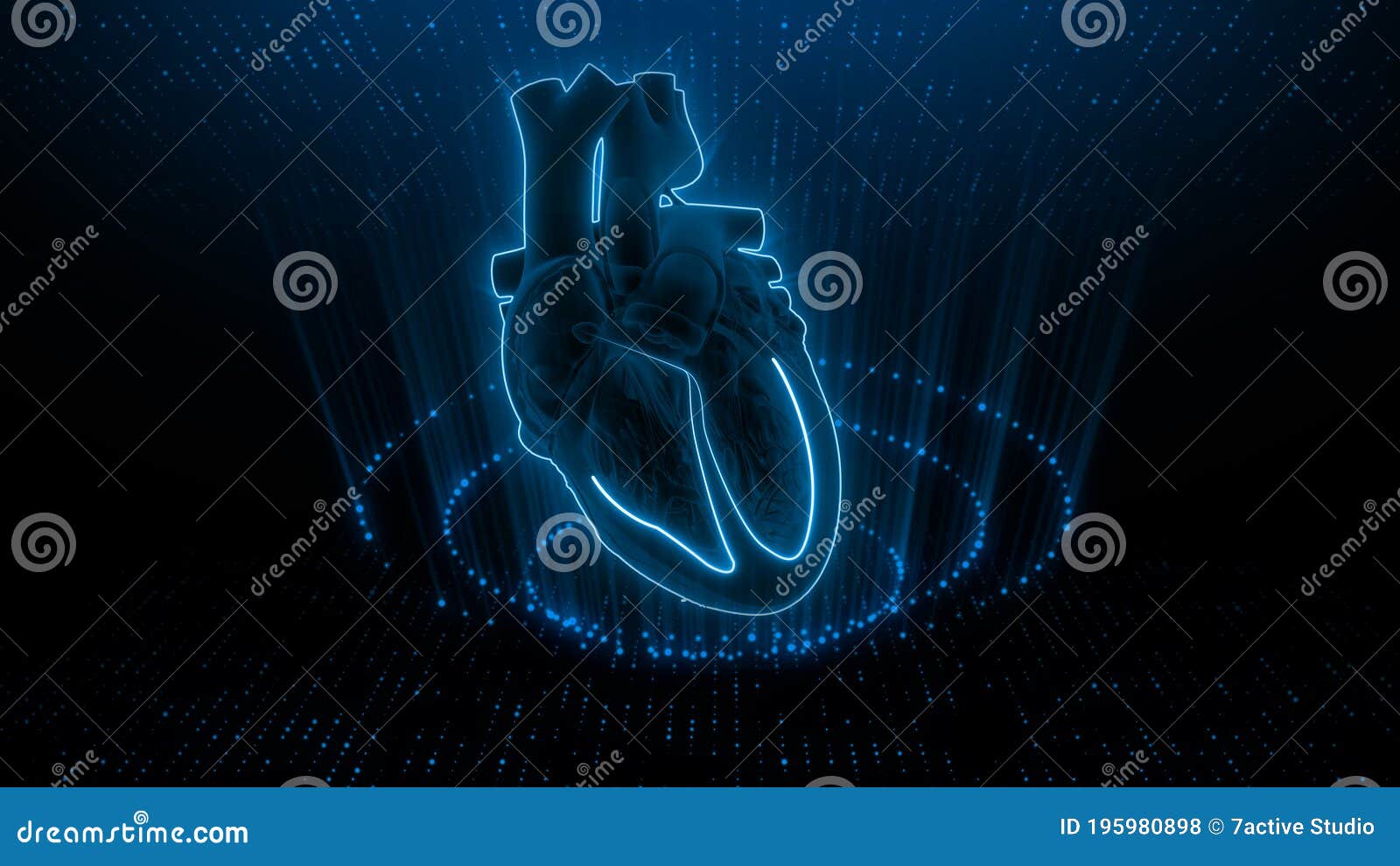 AV Node Signal or Atrioventricular Node Signal of Human Heart Stock ...
