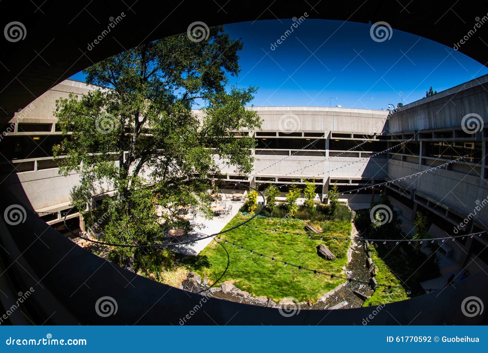 Atrium foto de stock. Imagem de localizado, parede, detalhe - 61770592