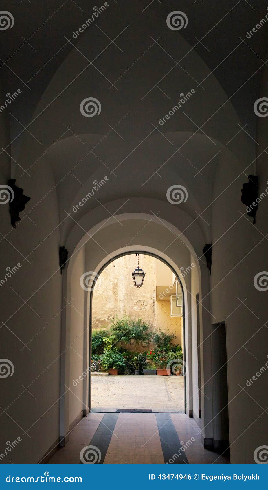 Atrium with green plants stock photo. Image of decorative - 43474946