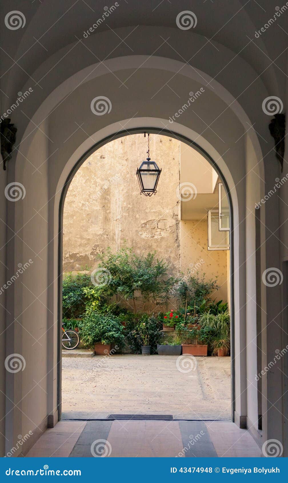 Atrium with green plants stock photo. Image of view, antique - 43474948