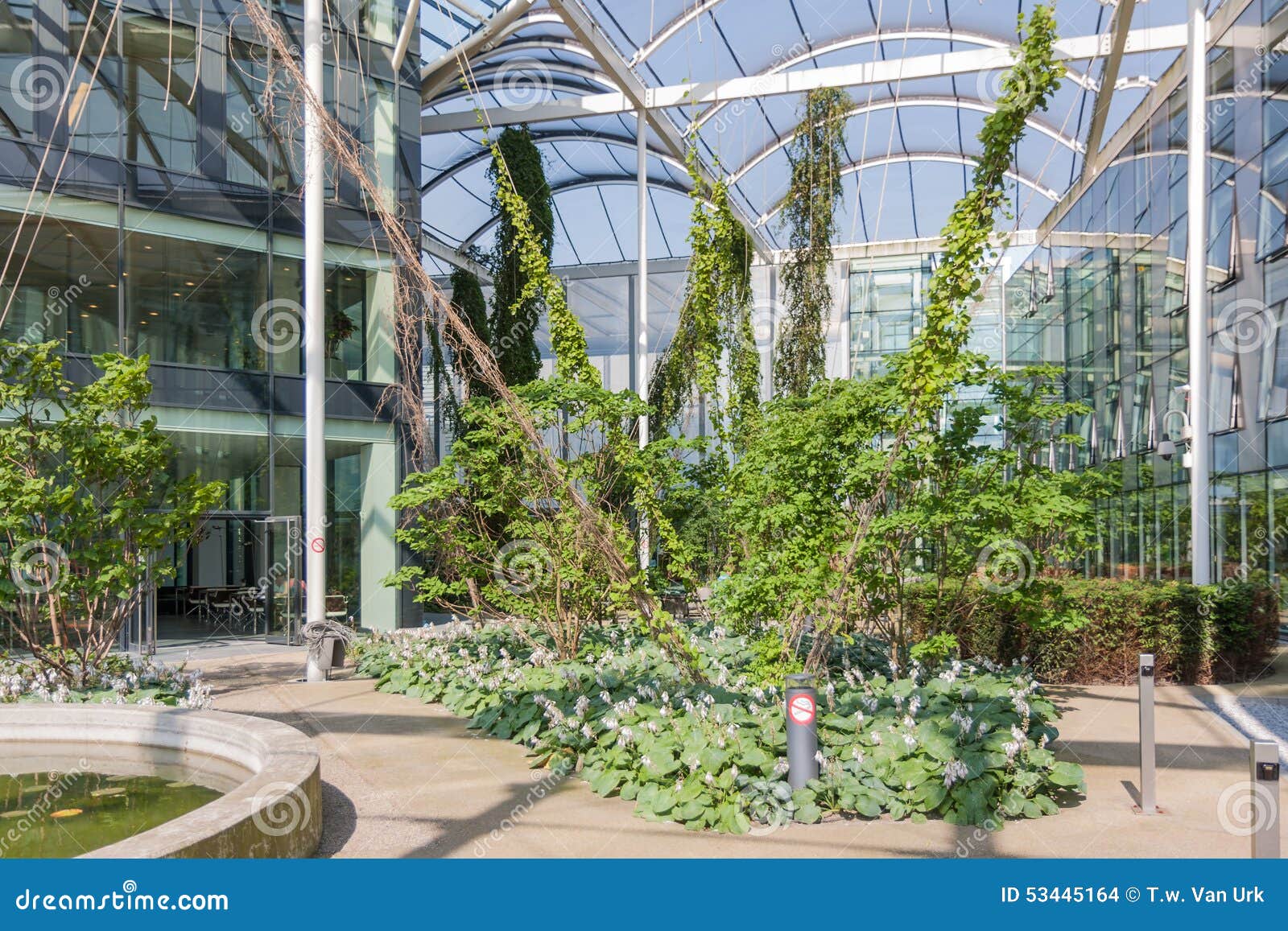 Atrium with Pool and Plants in a Modern Building Stock Photo - Image of ...