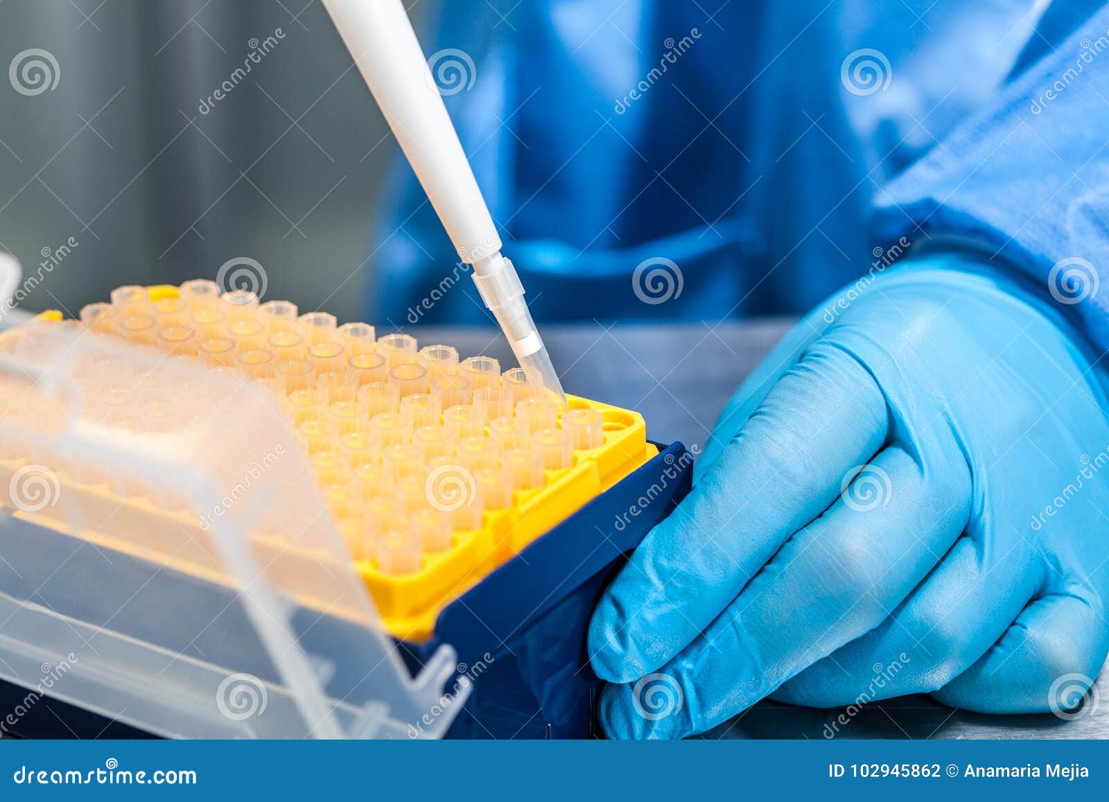 Attaching a Disposable Tip To a Micropipette Stock Photo - Image of ...