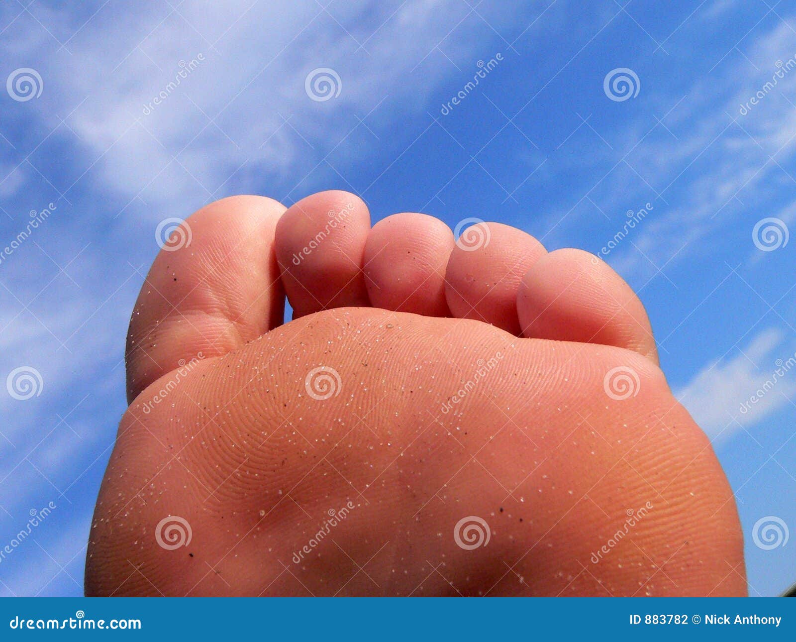 Attack of the 50 ft. Foot stock photo. Image of blue, sand - 883782