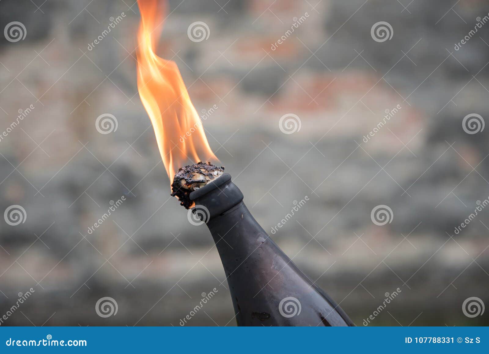 Attack with Molotov Cocktail Stock Image - Image of bomb, rebel: 107788331
