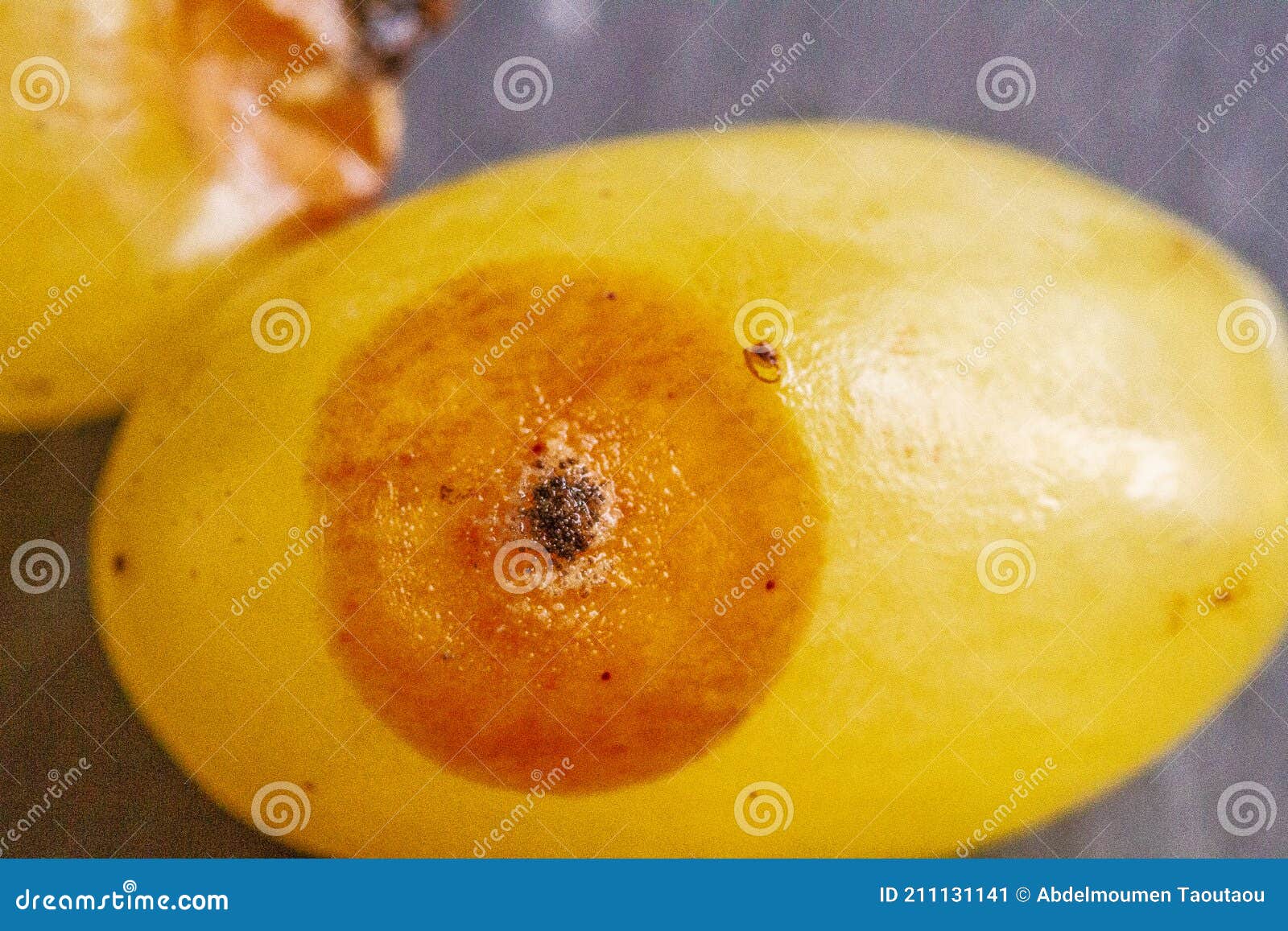Attacked Grape by a Plant Pathogen Stock Image - Image of attacked ...