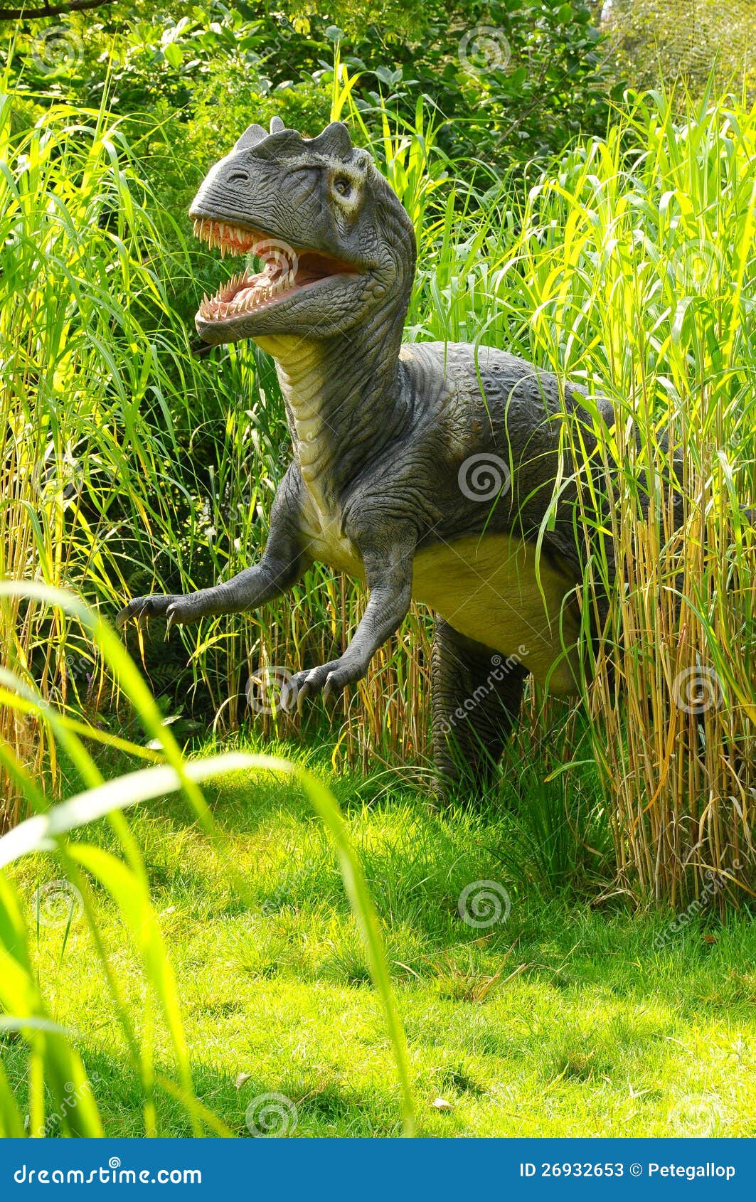 Attacking Allosaurus stock image. Image of attack, hunter - 26932653