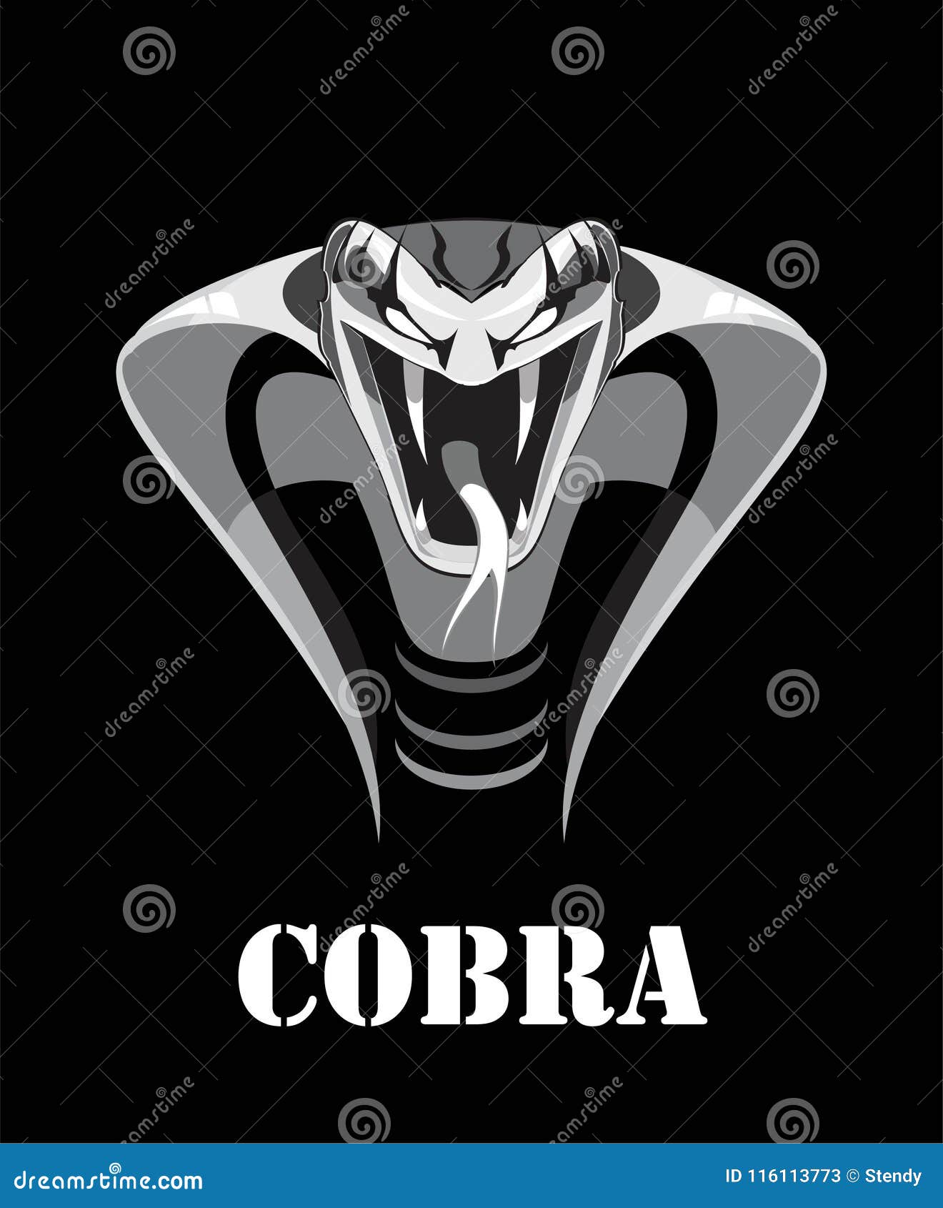 Attacking Cobra. King Cobra. Stock Vector - Illustration of dark ...