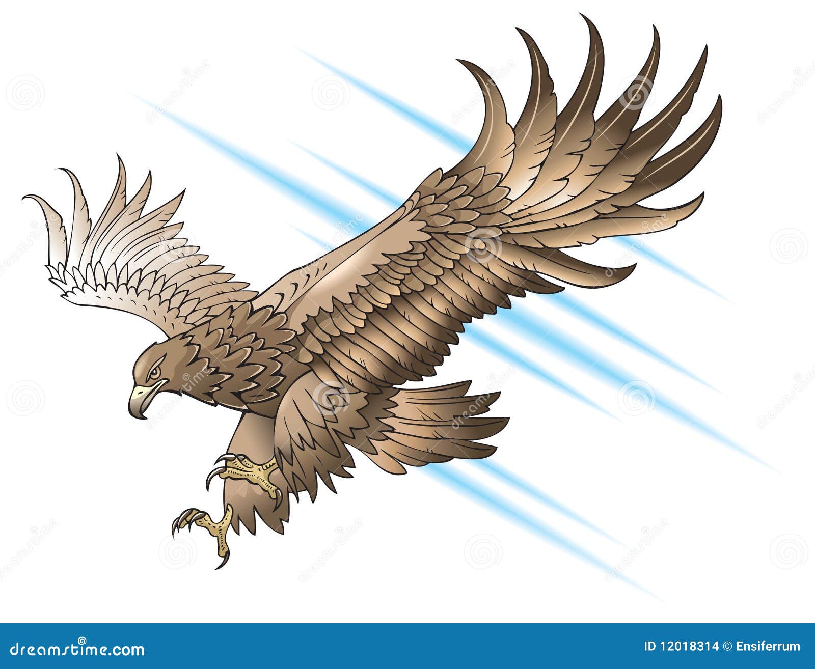 Attacking eagle stock vector. Illustration of flying - 12018314