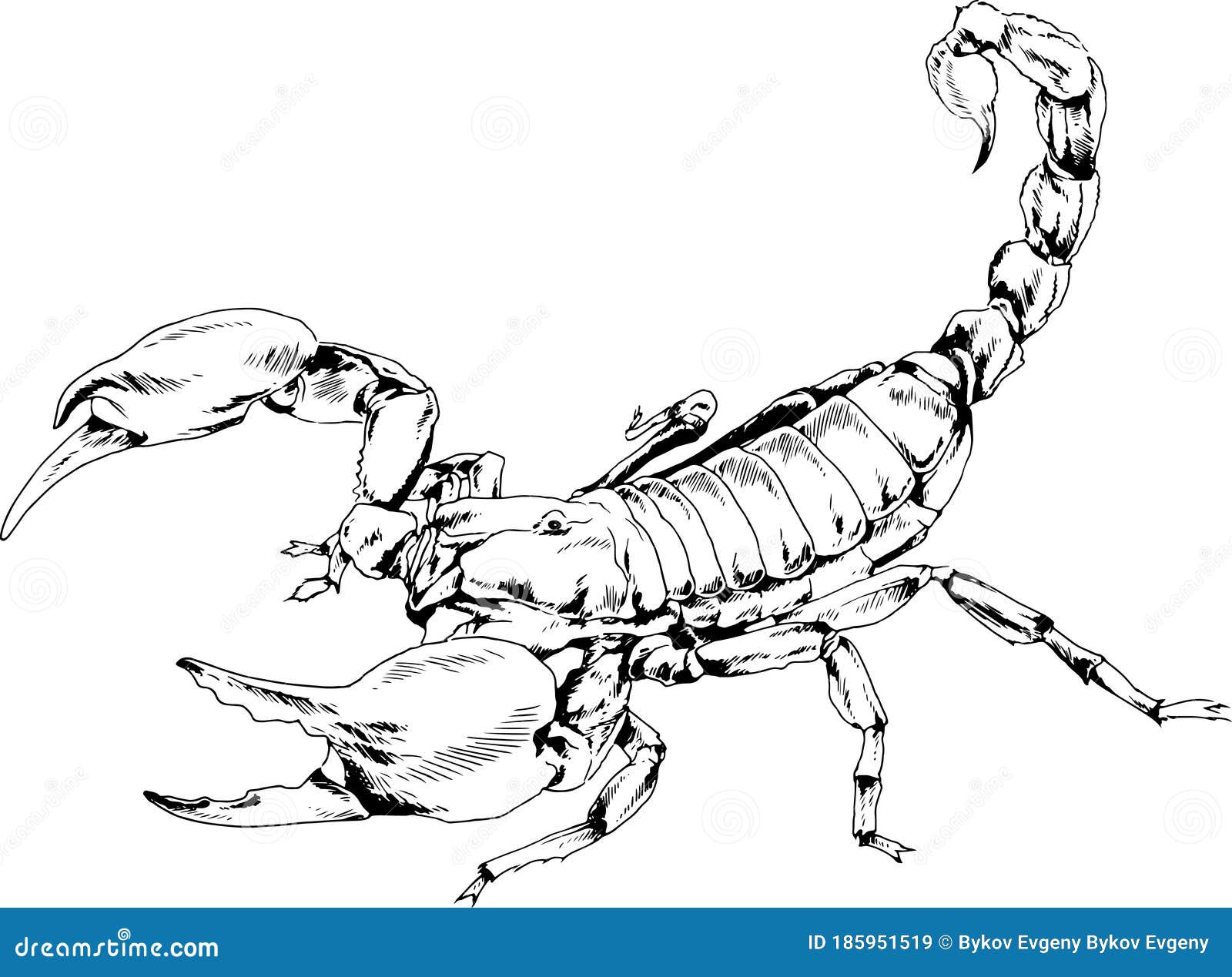 Attacking the Scorpion with the Sting Striker is Drawn in Ink Freehand ...