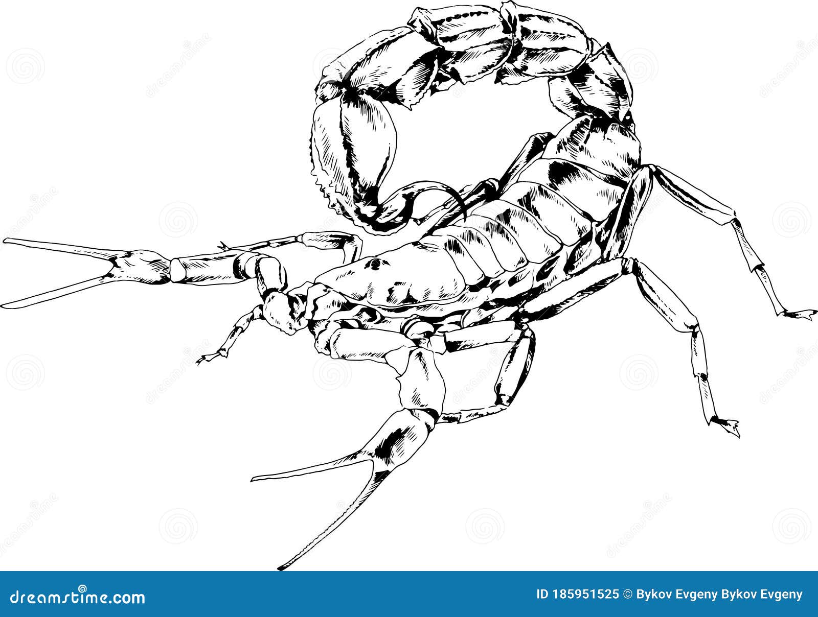 Attacking the Scorpion with the Sting Striker is Drawn in Ink Freehand ...